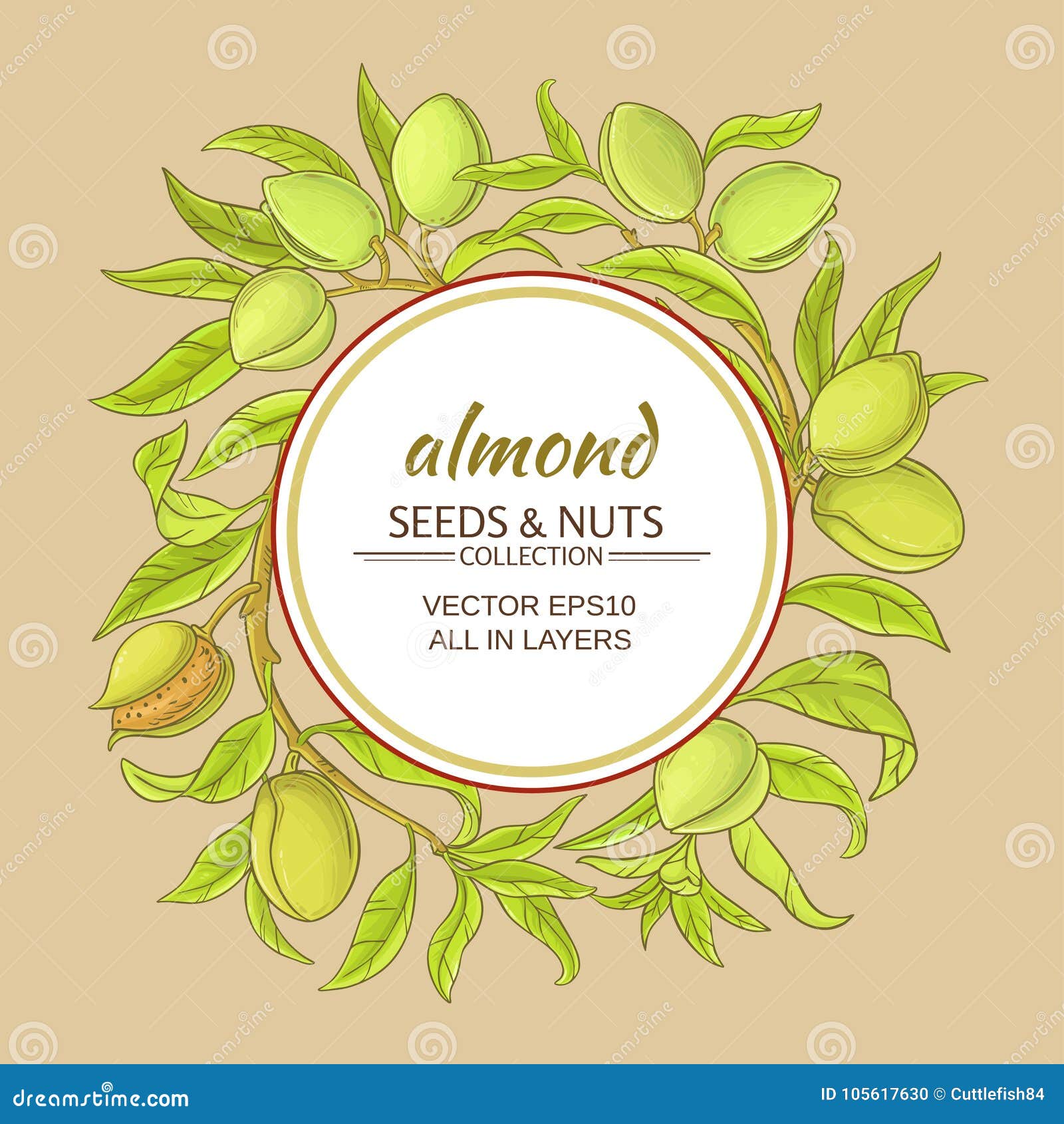 Almond vector frame stock vector. Illustration of sketch - 105617630