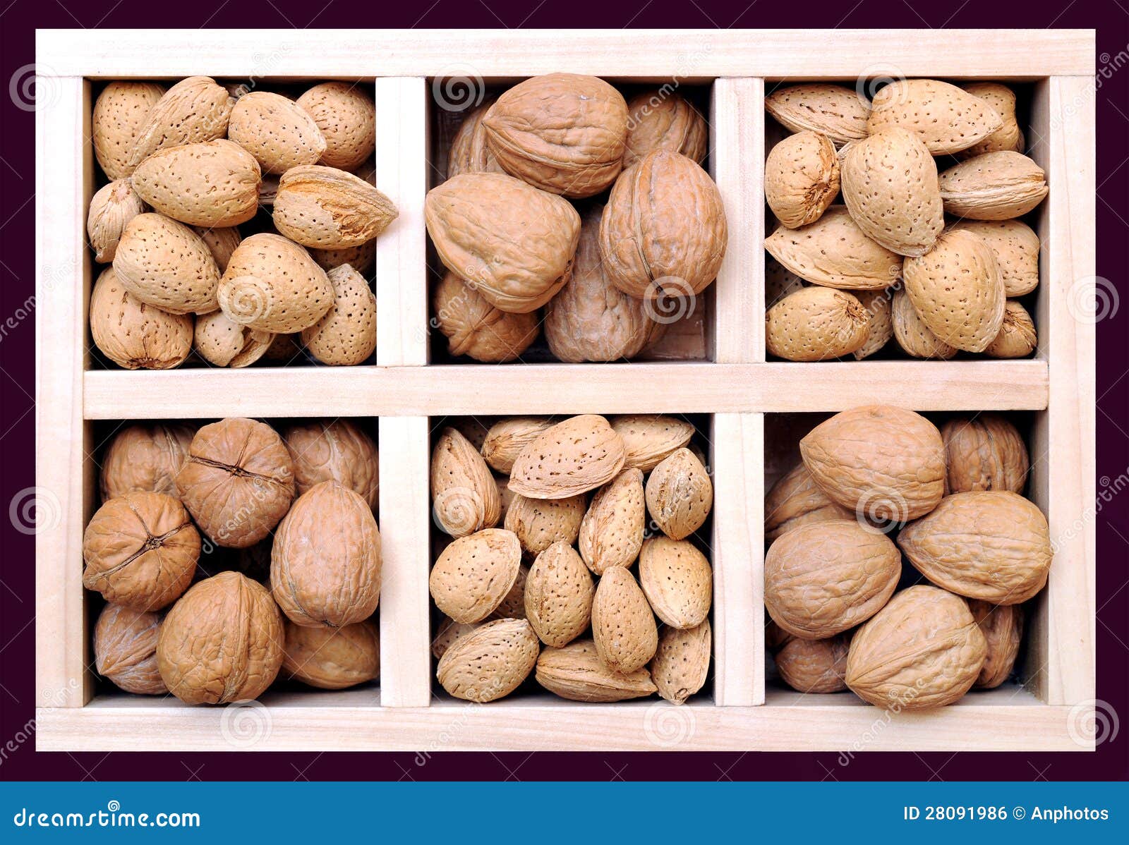 Almond and walnut in shell stock photo. Image of arrange - 28091986