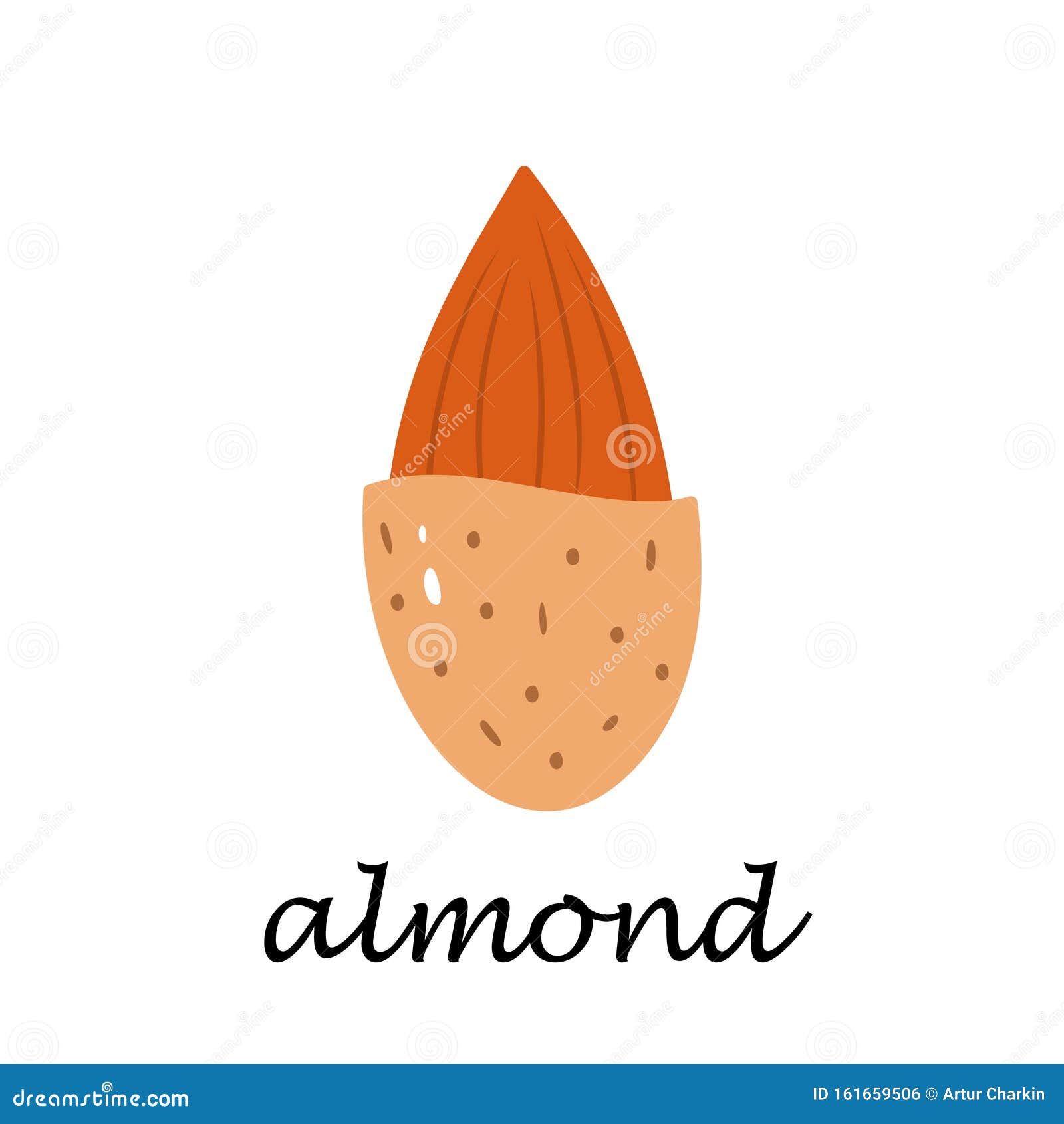 Almond on White Background in Cartoon Style. Stock Vector ...