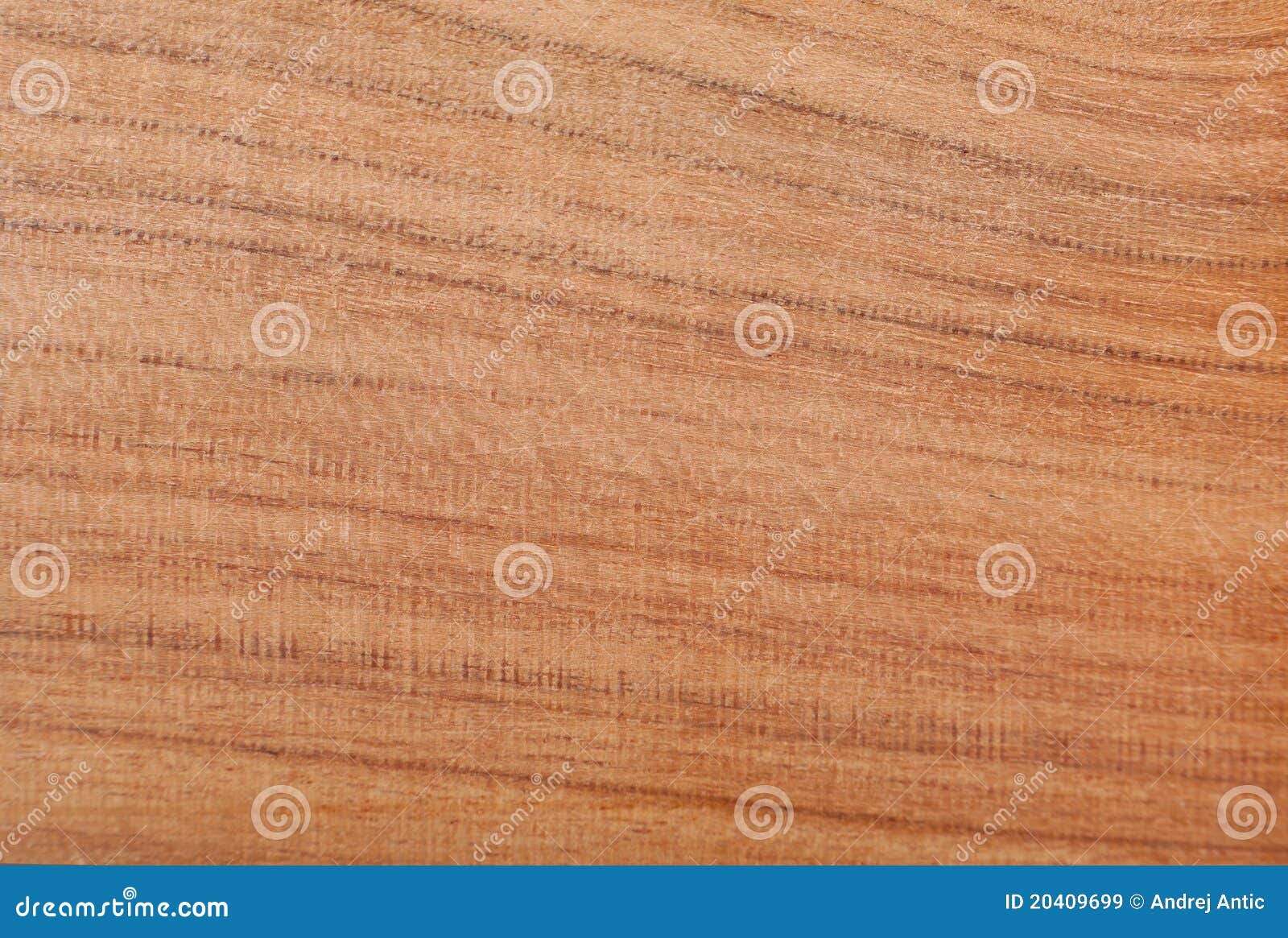 Almond Wood Texture With Knott Royalty-Free Stock Image | CartoonDealer ...