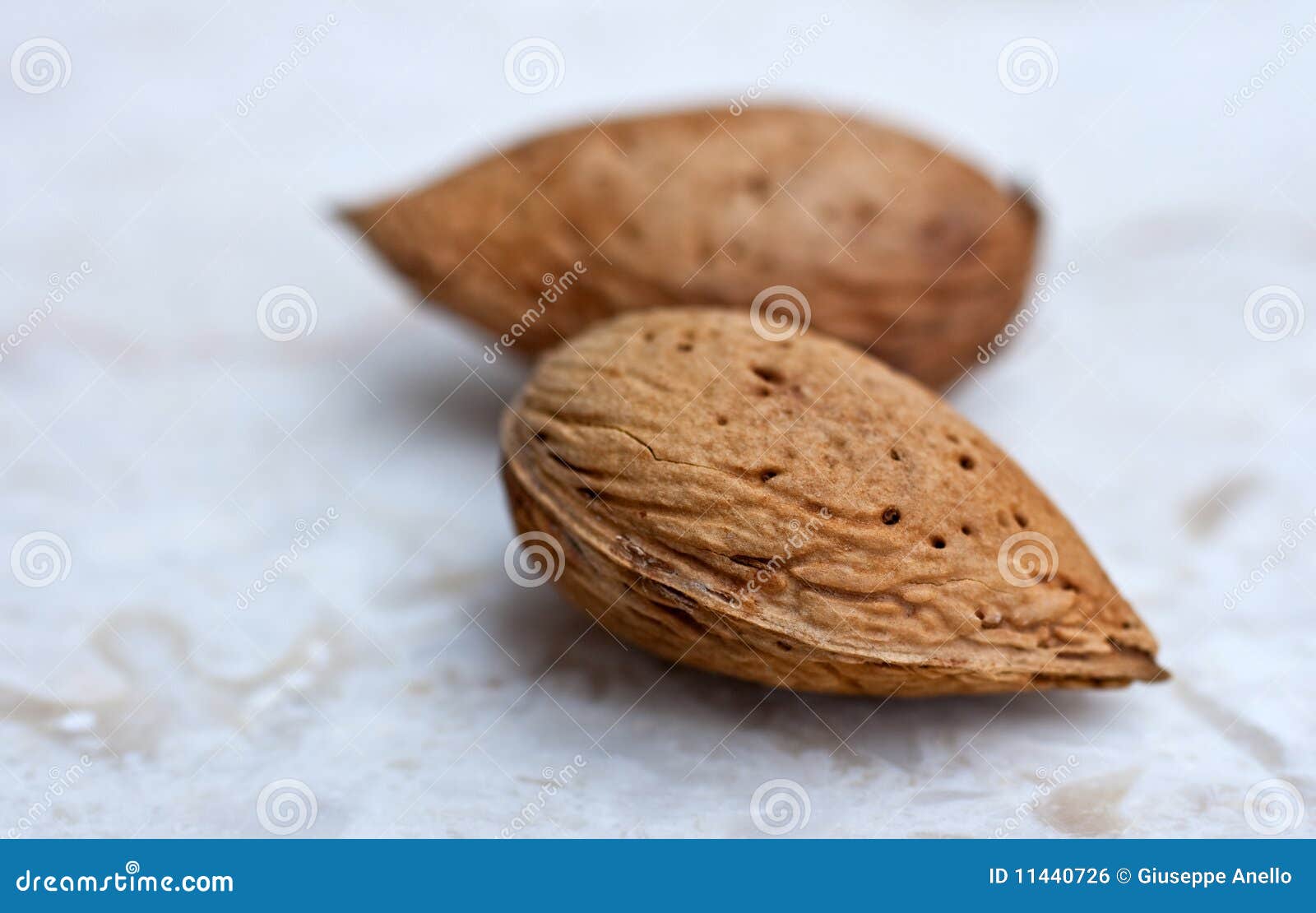 Almonds stock photo. Image of autumn, almonds, foodstuffs - 11440726