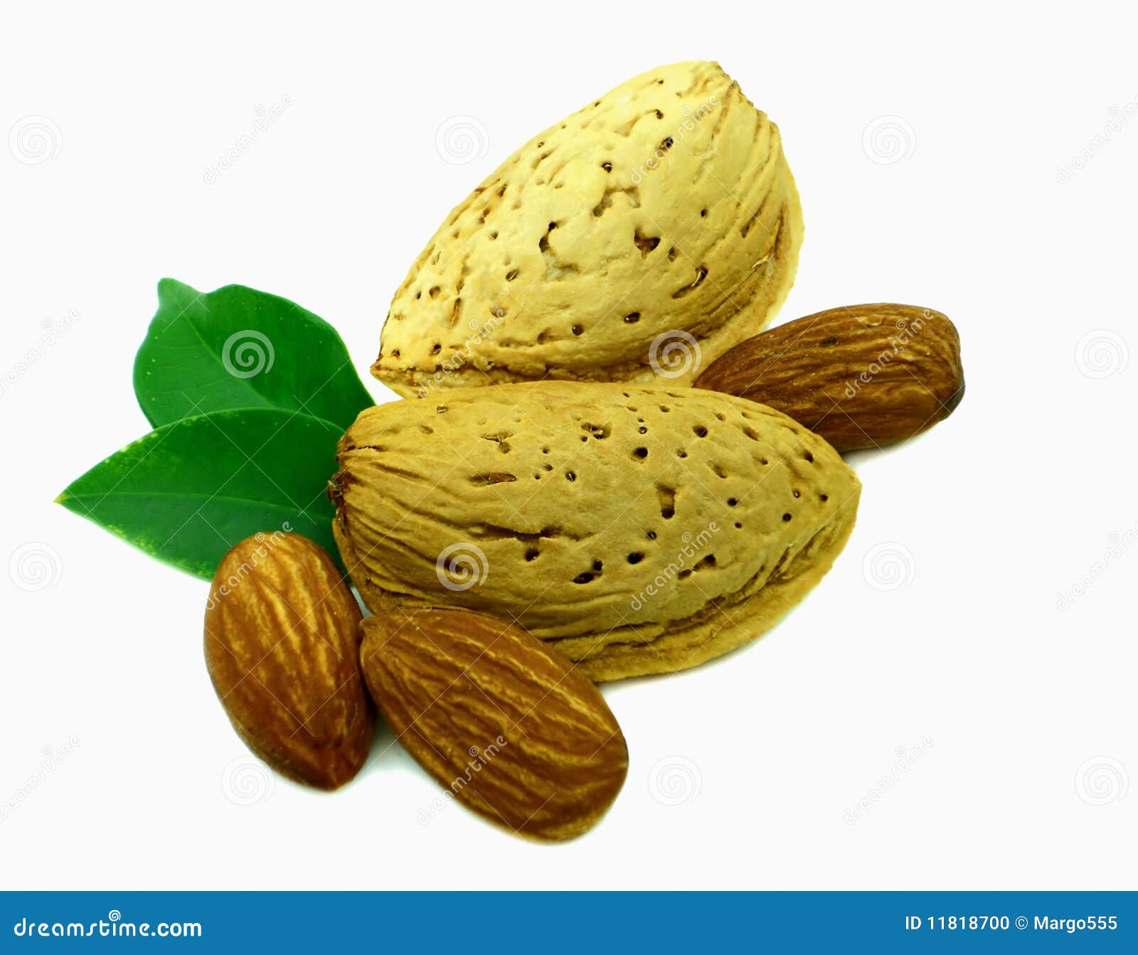 Almonds stock photo. Image of organic, fruit, green, large - 11818700