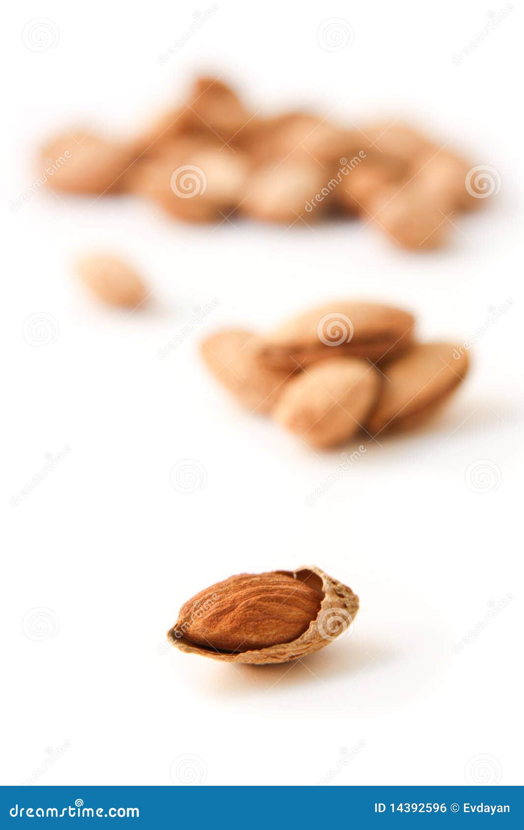 Almonds stock photo. Image of halves, healthy, almond - 14392596
