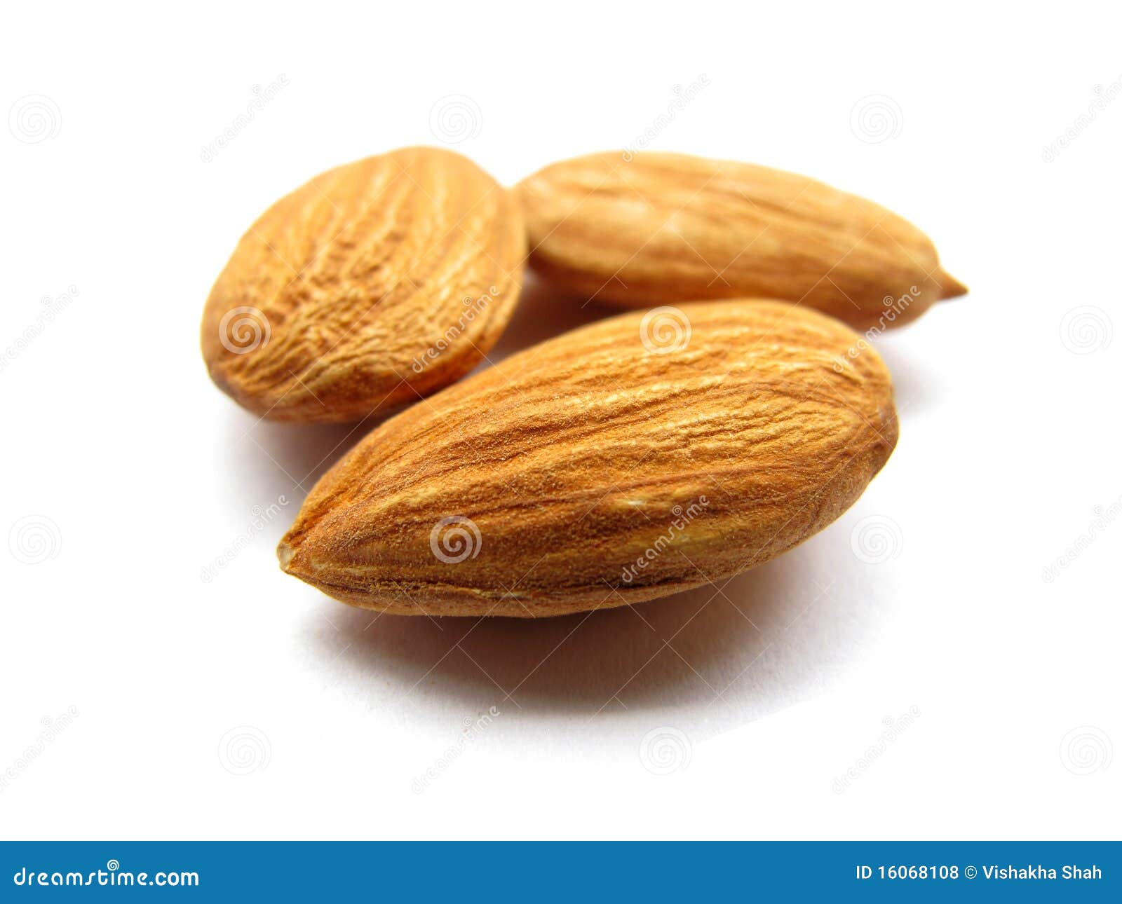 Almonds stock photo. Image of vegetable, almonds, cook - 16068108