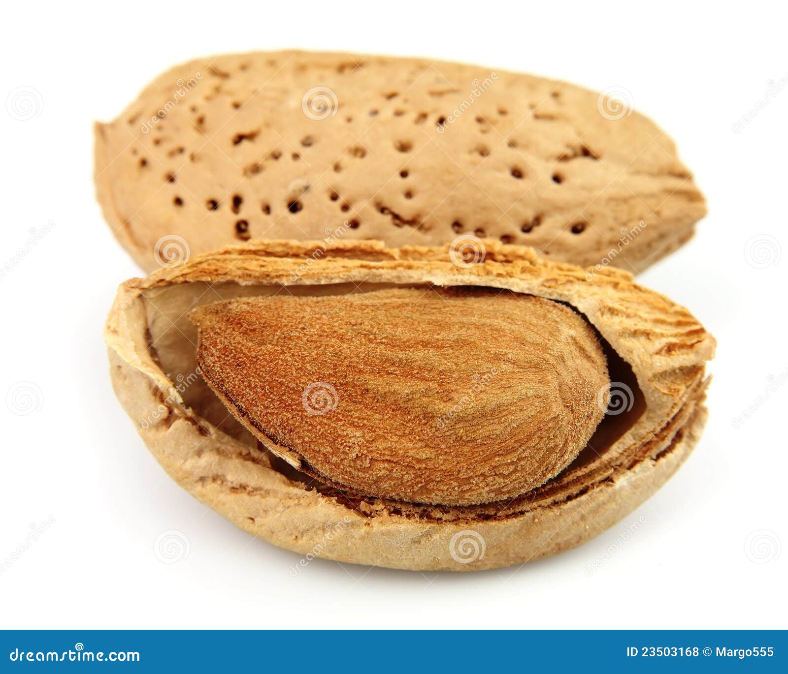 Almonds stock photo. Image of closeup, food, nutshell - 23503168