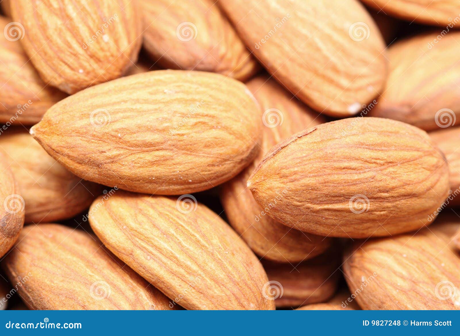 Almonds stock photo. Image of nutritious, nutrition, eating - 9827248