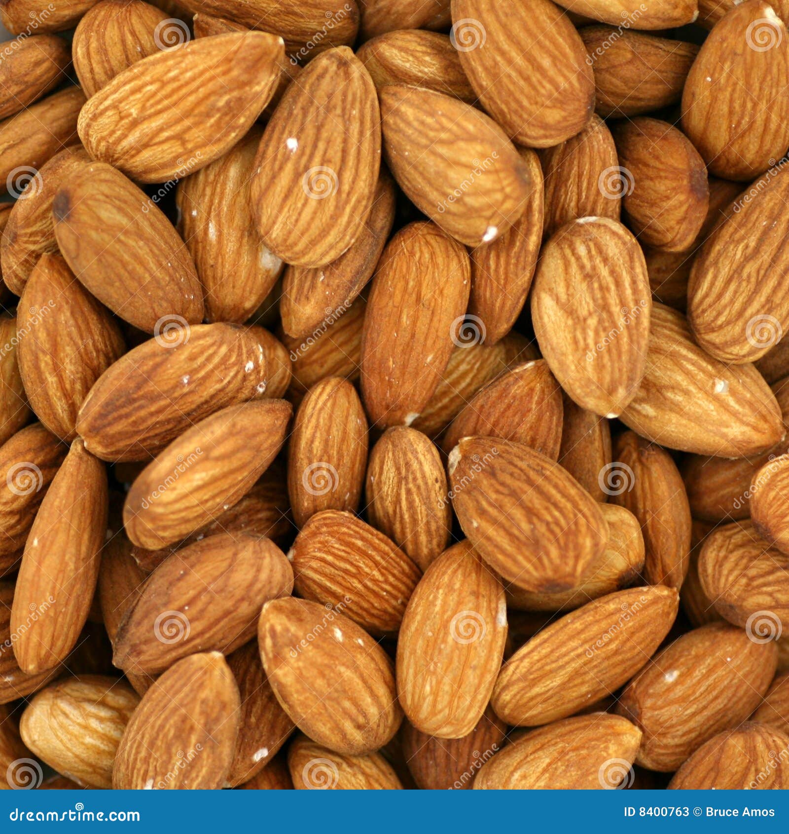 Almonds closeup detail stock image. Image of horticulture - 8400763