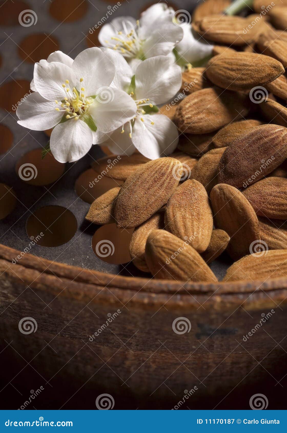 Almonds and flower stock image. Image of isolated, group - 11170187