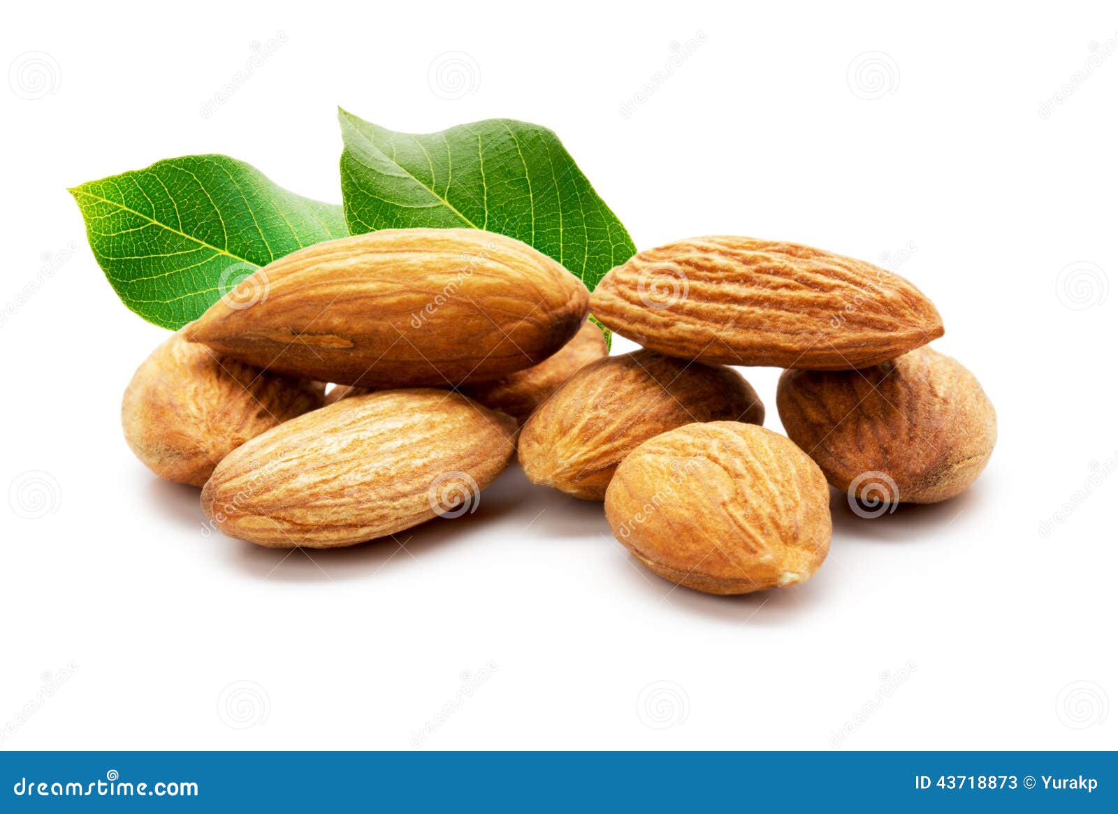 Almonds Isolated on the White Background Stock Image - Image of ...