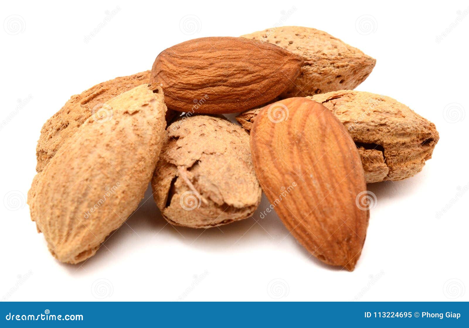 Shelled Almonds Isolated on White Stock Image - Image of contraction ...