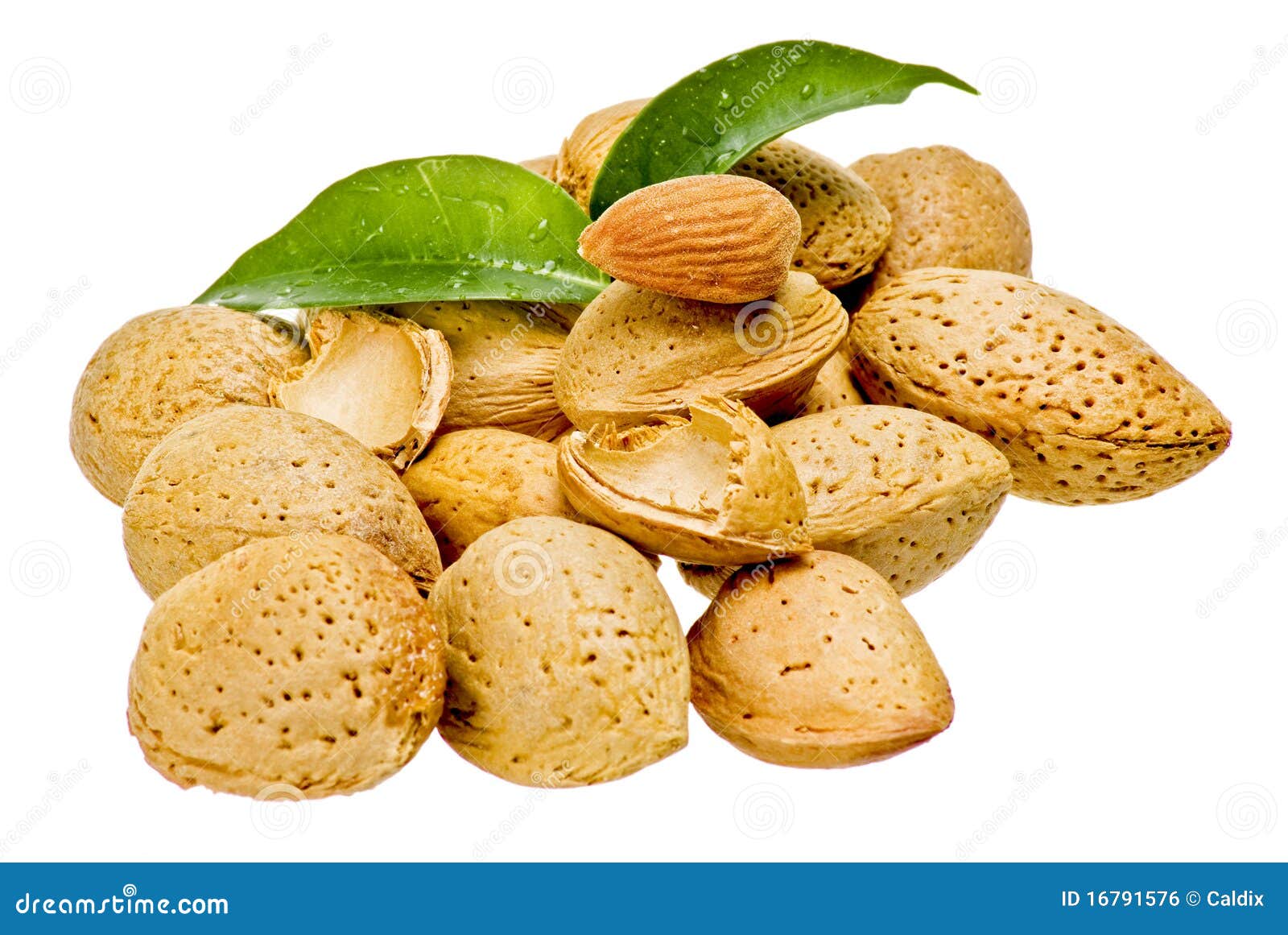Almonds with kernel stock photo. Image of green, shell - 16791576