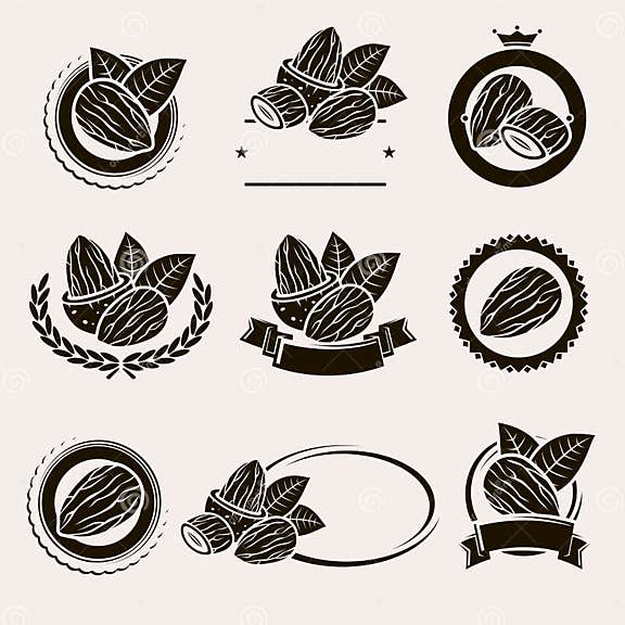 Almonds Labels and Elements Set. Vector Stock Vector - Illustration of ...