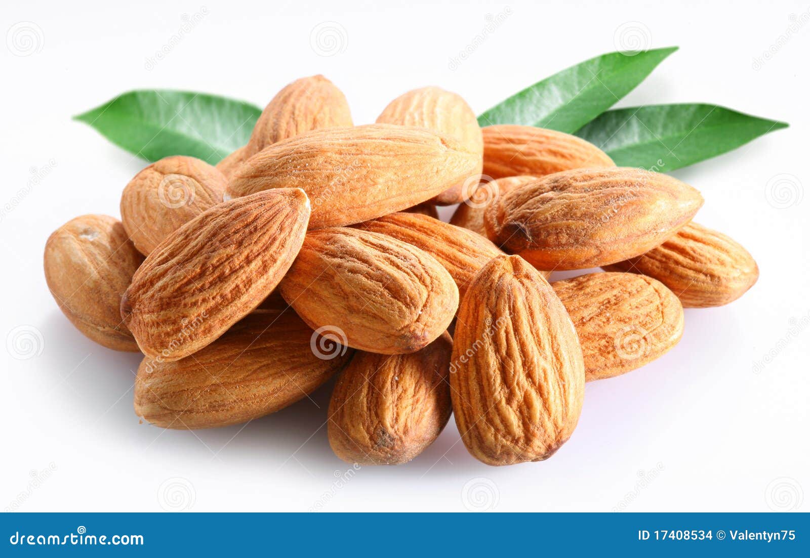 Almonds with leaves. stock photo. Image of seasoning - 17408534