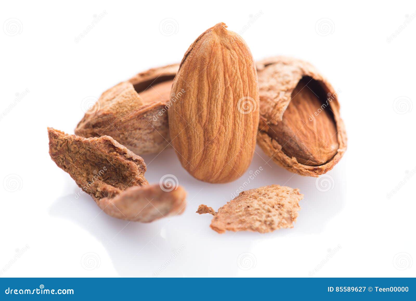 Almonds Nut with Shell Isolated on White Stock Image - Image of almonds ...