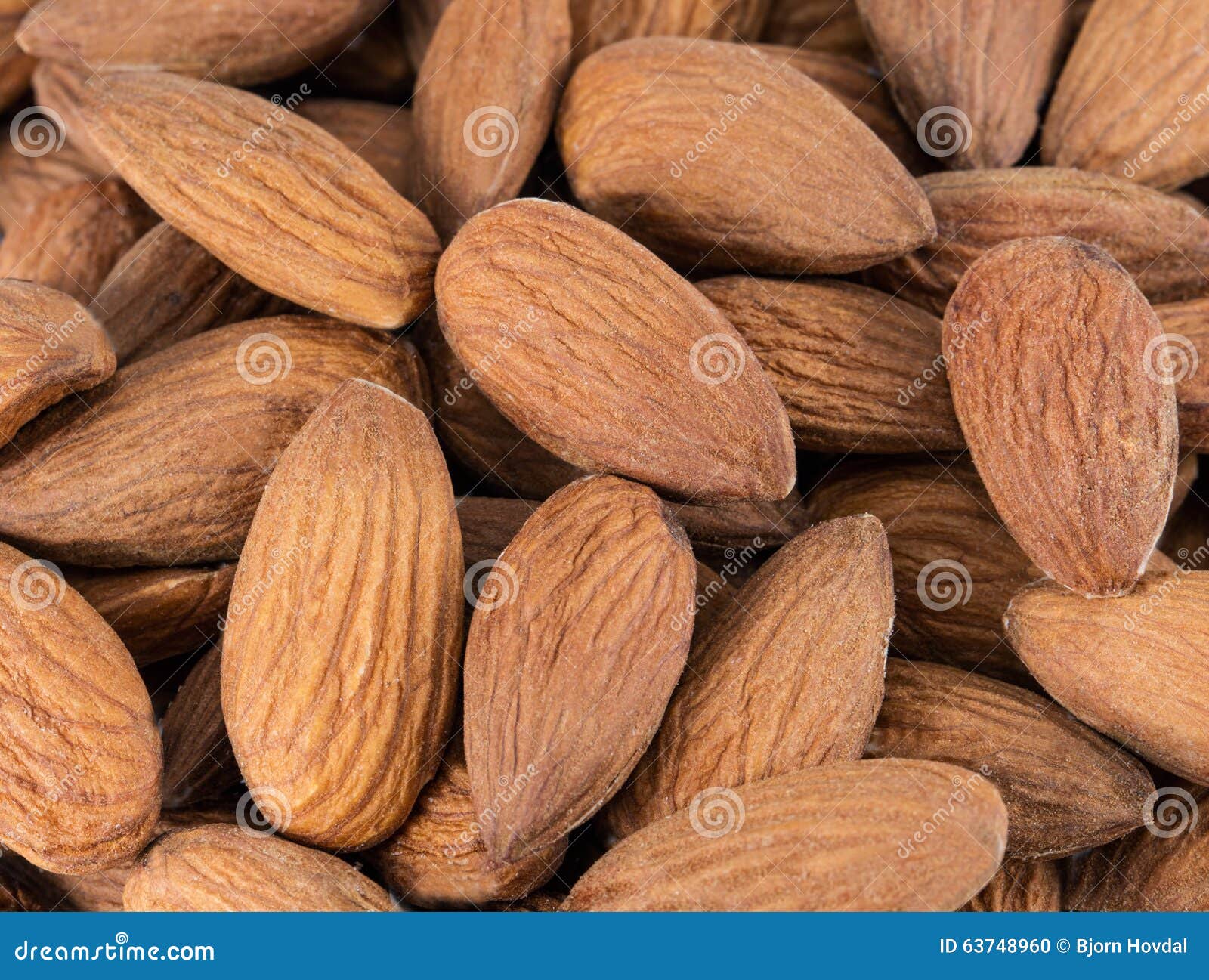 Almonds nuts stock photo. Image of medicines, antioxidants - 63748960
