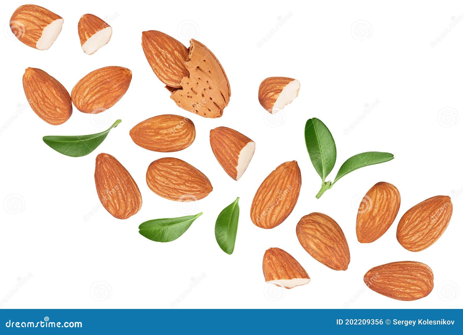 Almonds Nuts Isolated on White Background Top View. Flat Lay. Stock ...