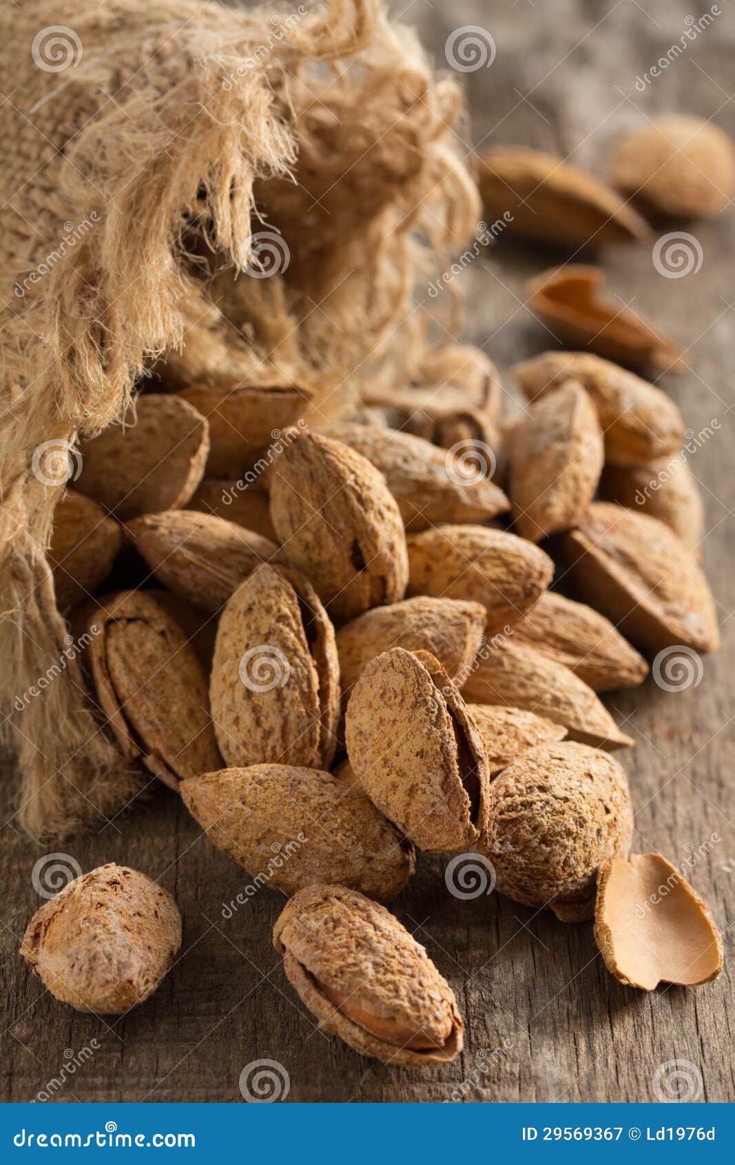Almonds in shell. stock image. Image of ingredient, bird - 29569367