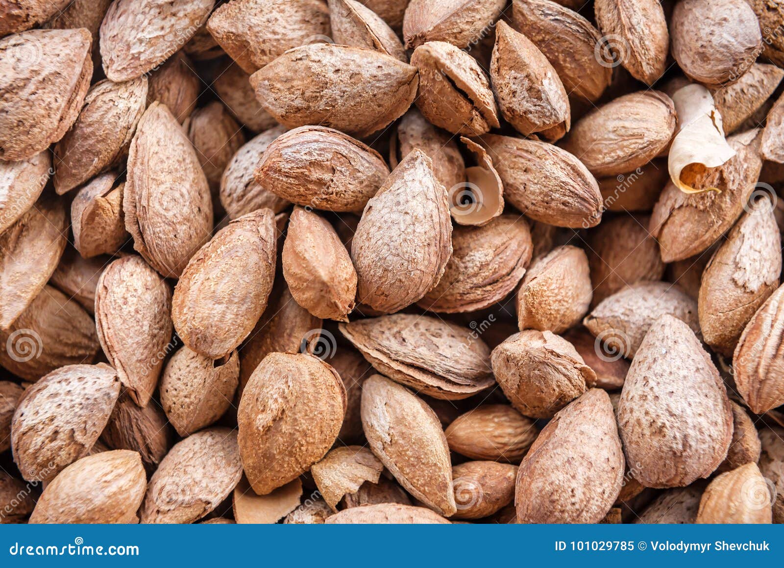 Almonds in a shell stock image. Image of scattering - 101029785