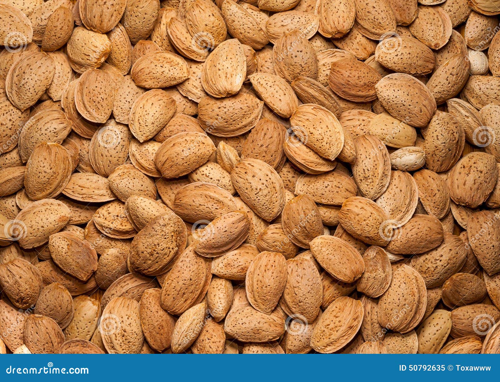 Almonds in shell stock image. Image of vegetarian, natural - 50792635