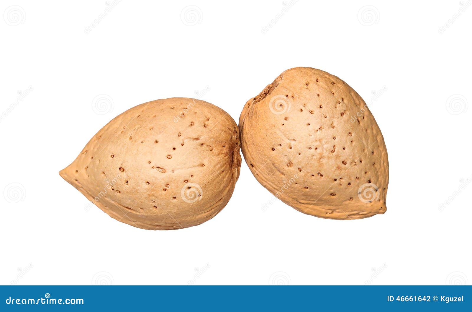Almonds in shell isolated stock photo. Image of heap - 46661642