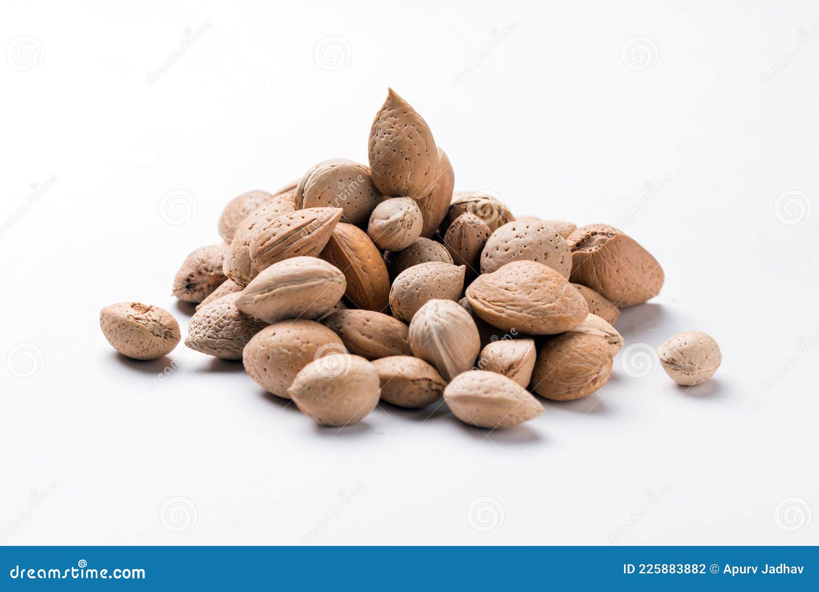 Prunus Amygdalus Seed Stock Photography | CartoonDealer.com #177020564