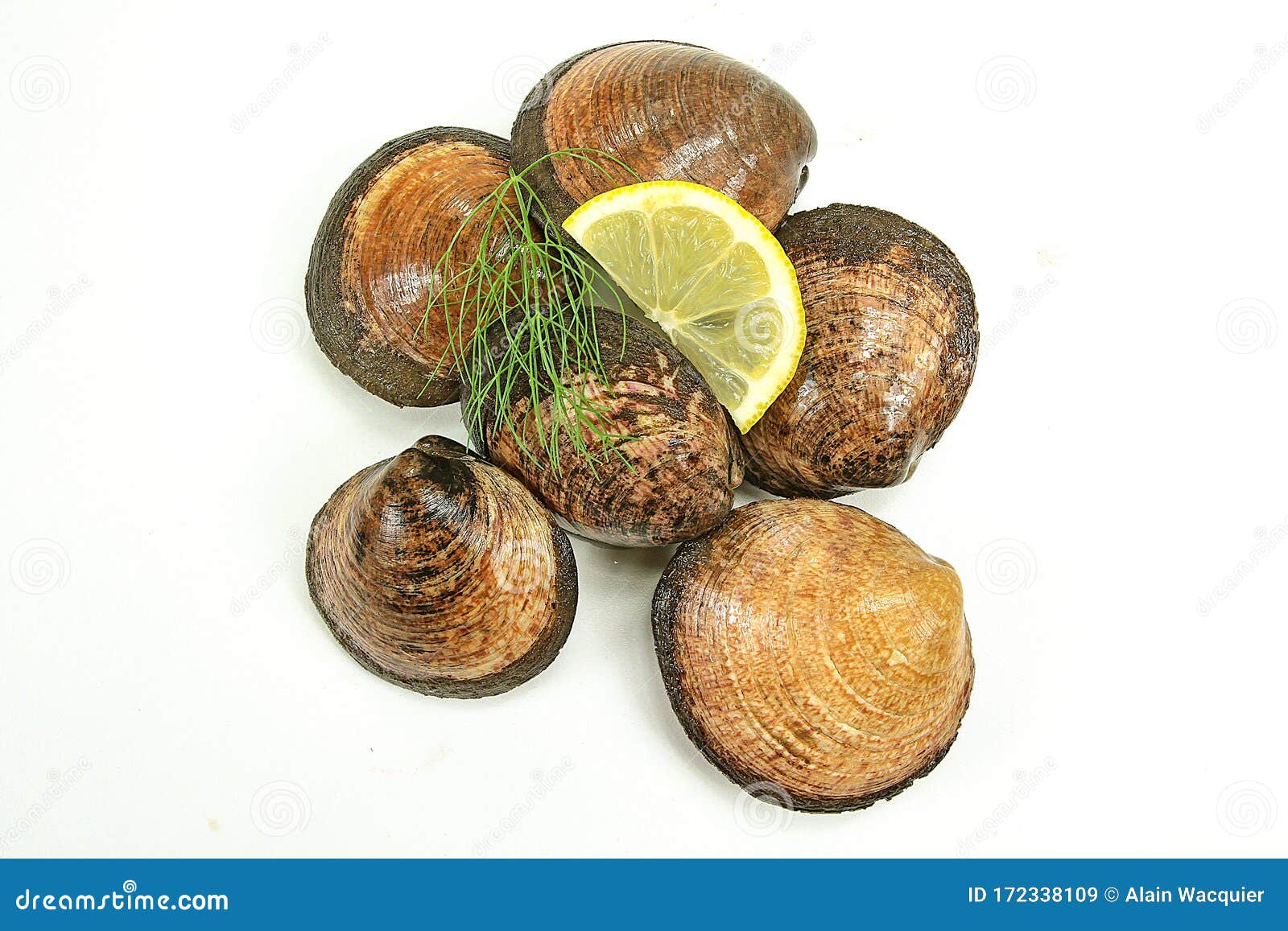 Almonds Cooked on a White Background Stock Image - Image of health ...
