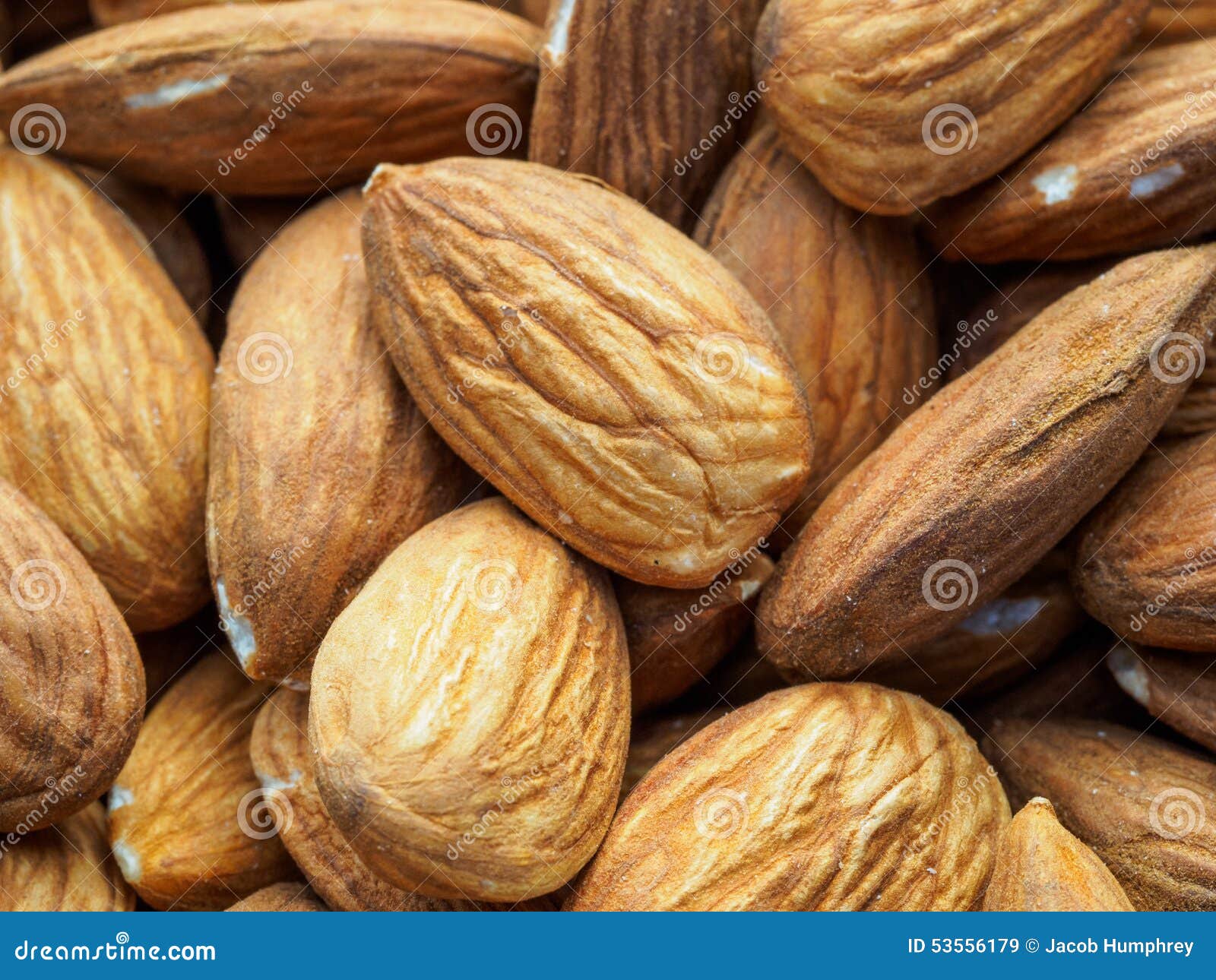 Almonds stock image. Image of energy, ready, edible, seed - 53556179