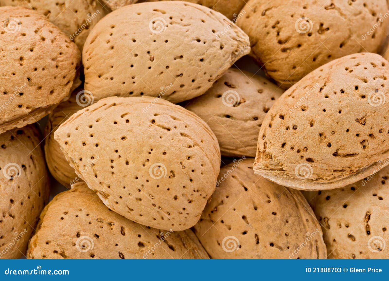Almonds in Their Shells (Prunus Amygdalus) Stock Image - Image of ...