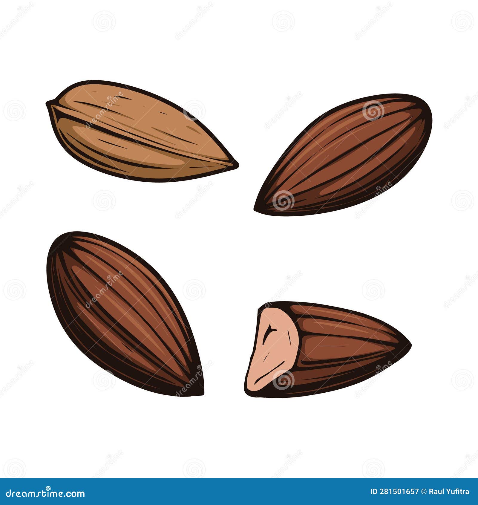 Almonds vector drawing set stock vector. Illustration of nutshell ...