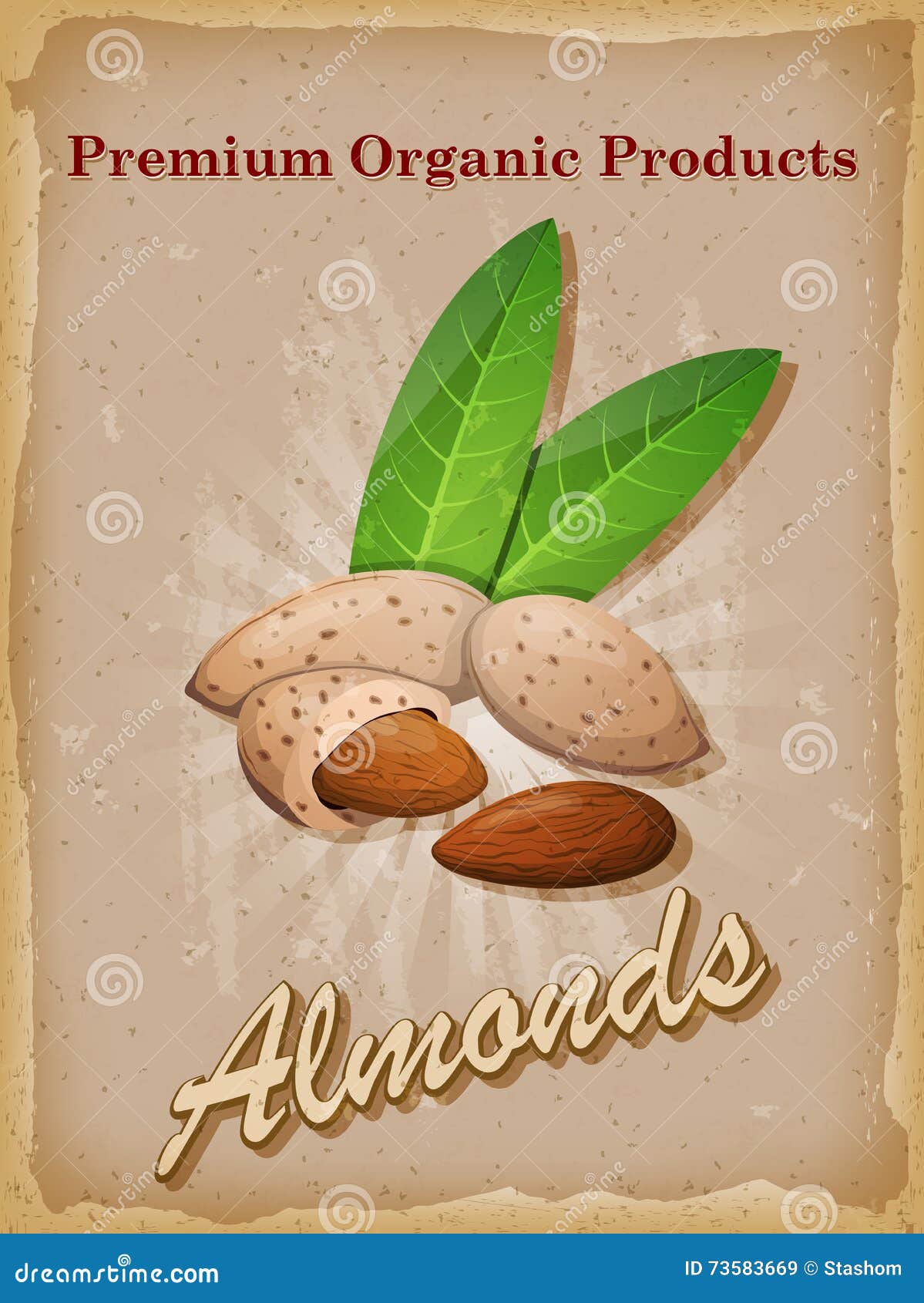 Almonds Vintage Poster. Vector Illustration Stock Vector - Illustration ...