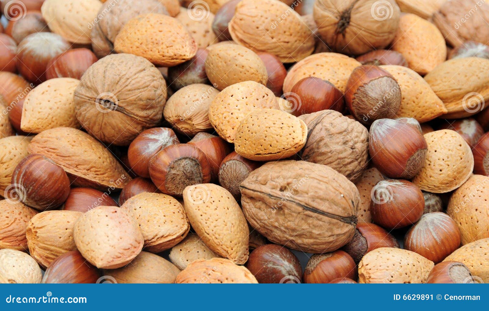 Almonds,walnuts and Hazelnuts Stock Image - Image of almonds, healthy ...