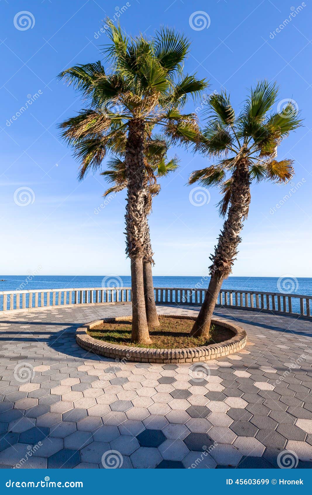 Almunecar beach stock image. Image of nature, scene, beach - 45603699