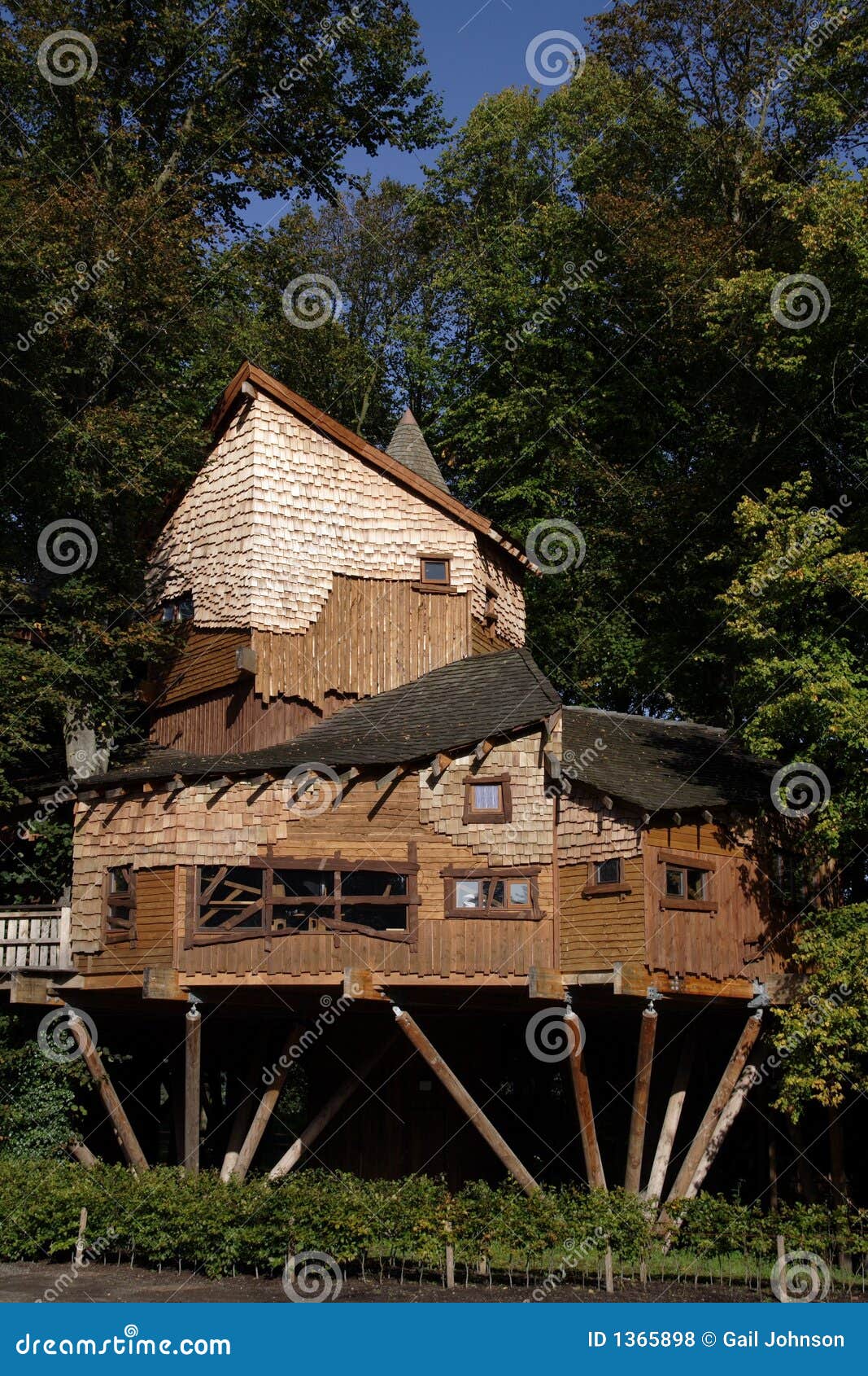 Alnwick Garden Treehouse stock photo. Image of charity - 1365898