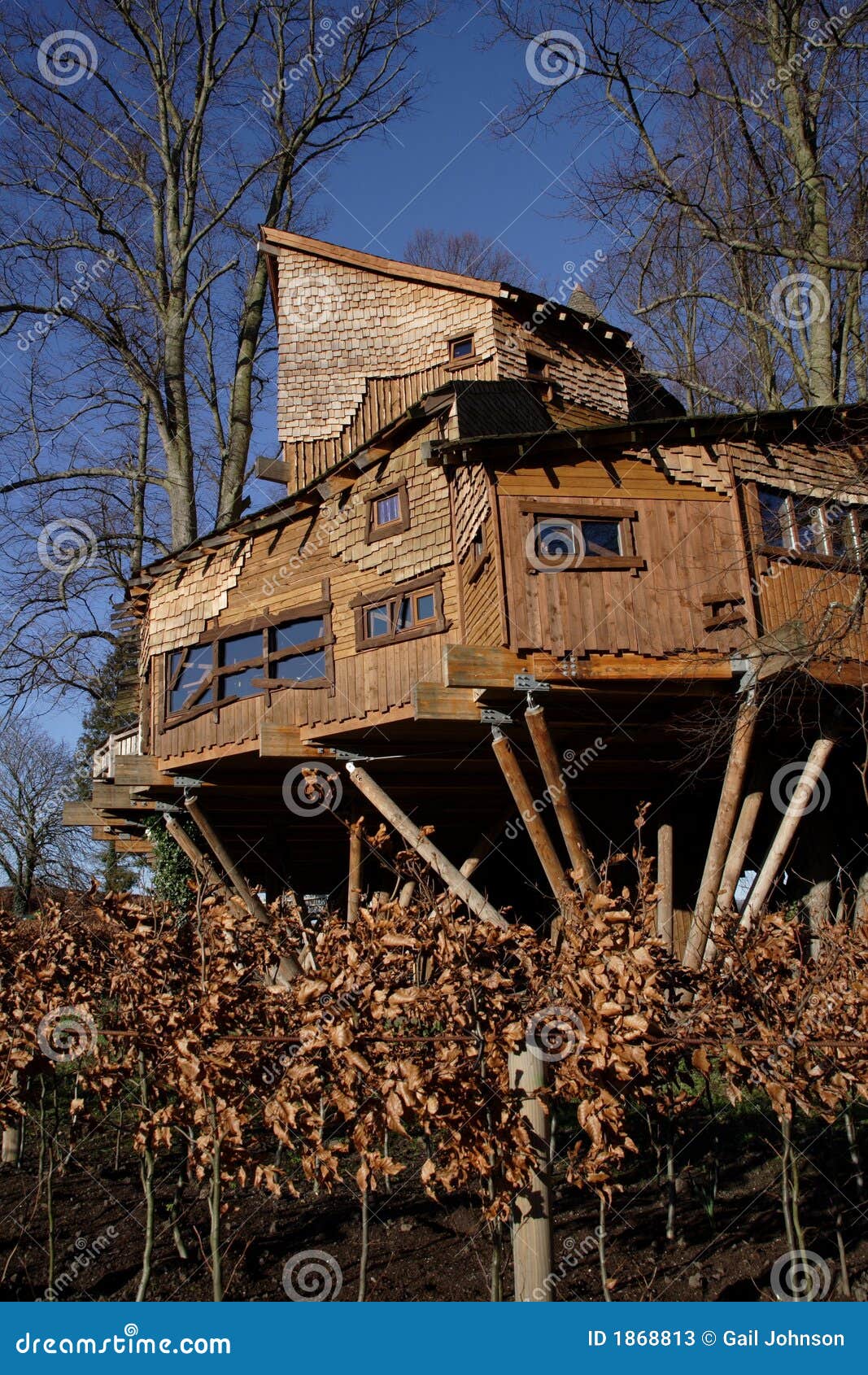 Alnwick Garden Treehouse stock image. Image of northumberland - 1868813