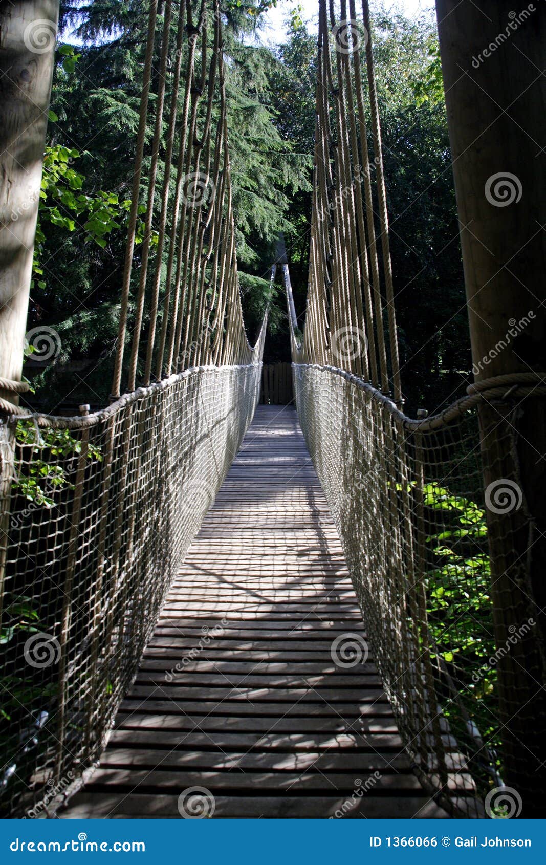 Alnwick Garden Treehouse Ropewalk Stock Photo - Image of england ...