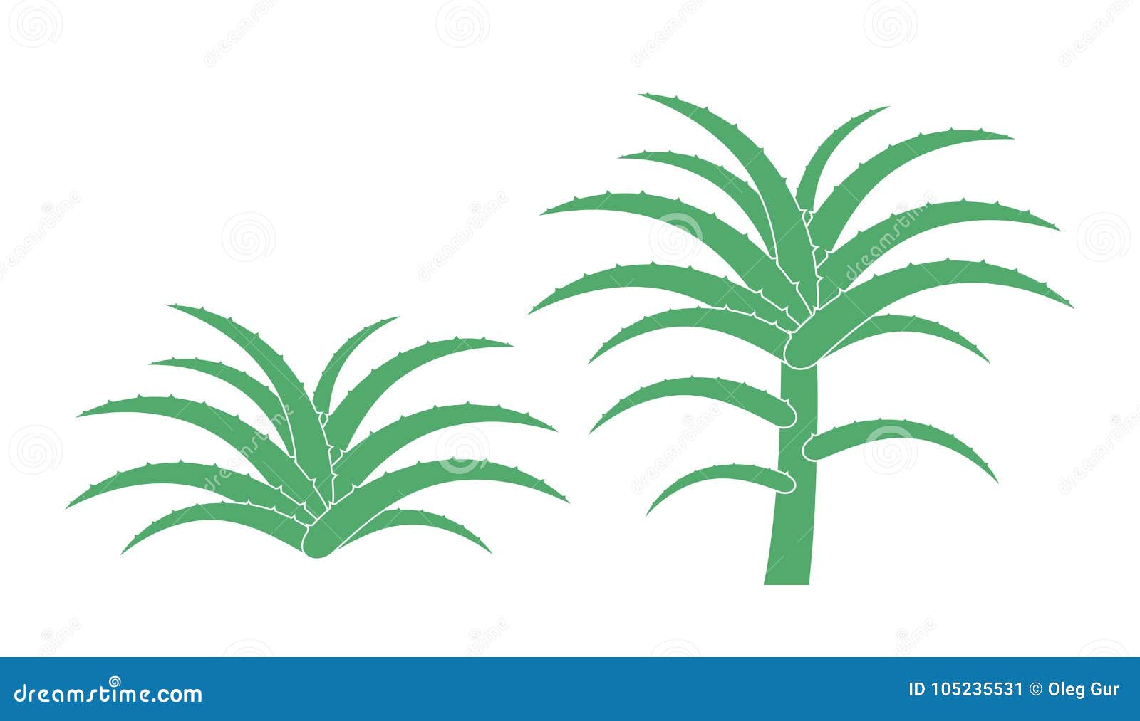 Aloe Plant. Isolated Aloe on White Background Stock Vector ...