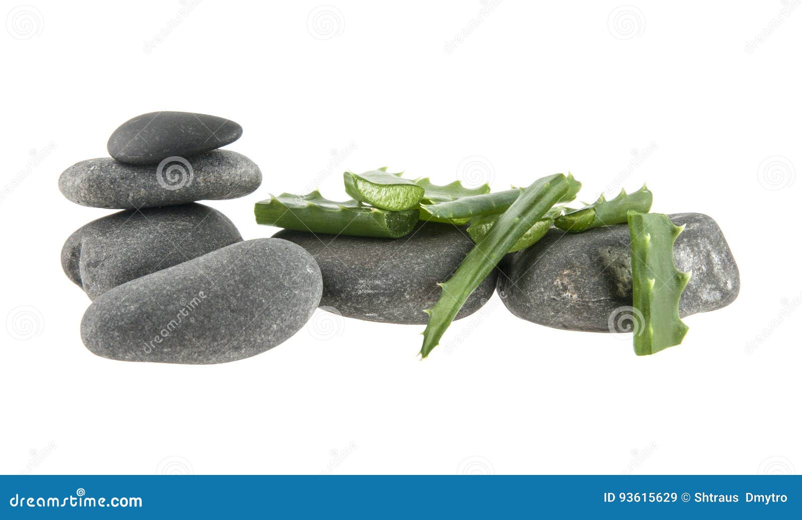Aloe and Sea Stones Isolated on White Stock Image - Image of cactus ...