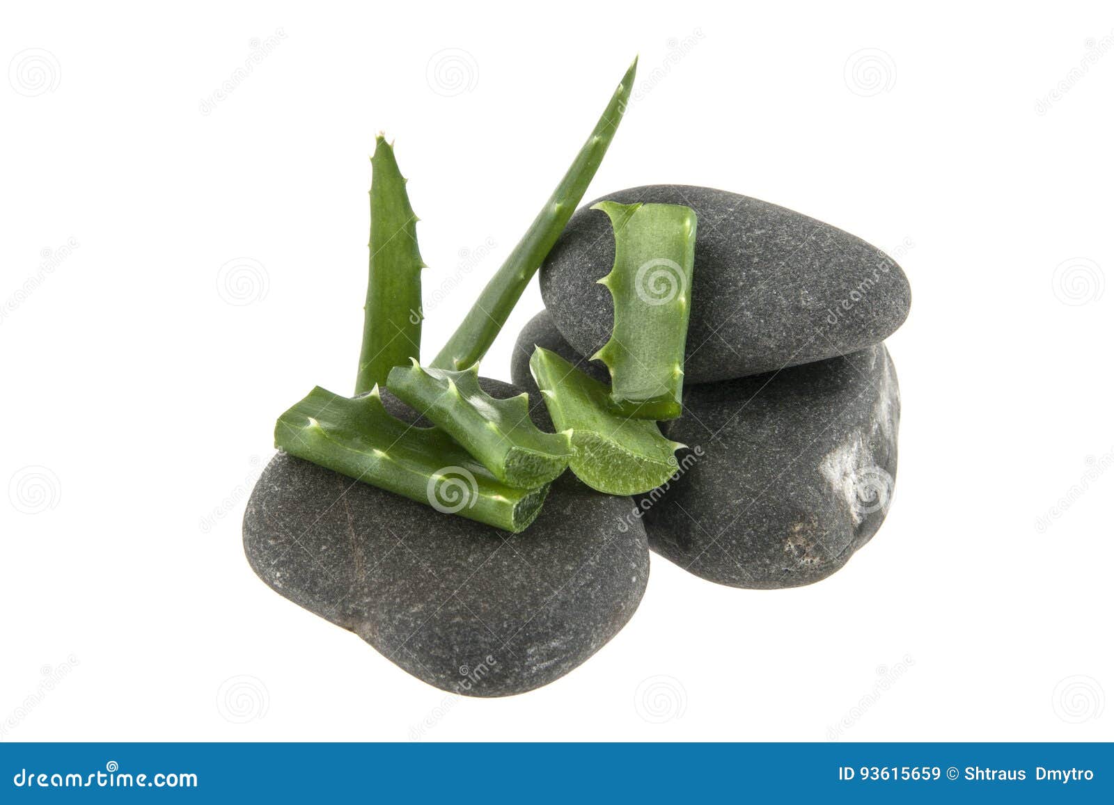 Aloe and Sea Stones Isolated on White Stock Image - Image of leafs ...