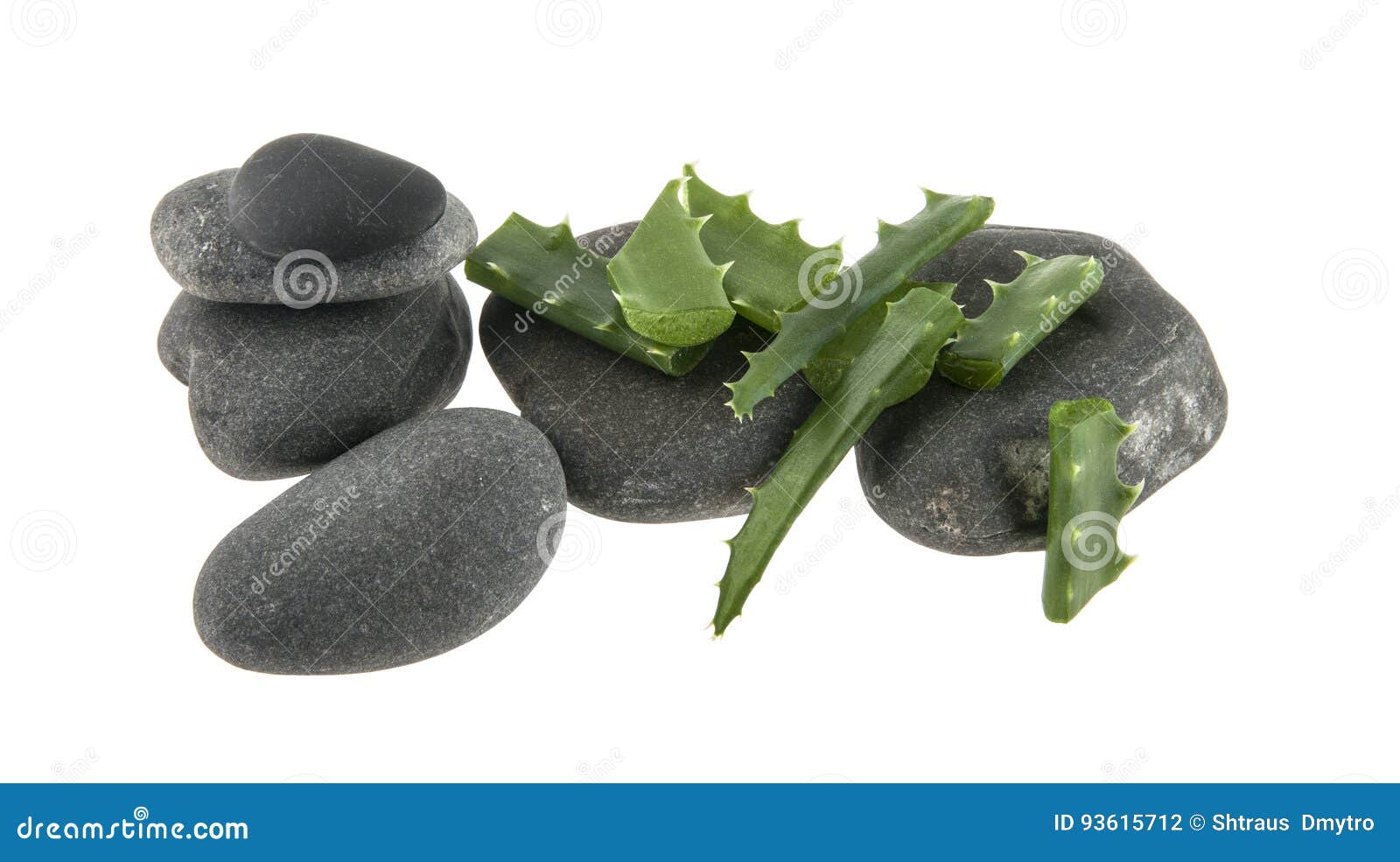 Aloe and Sea Stones Isolated on White Stock Photo - Image of drop ...