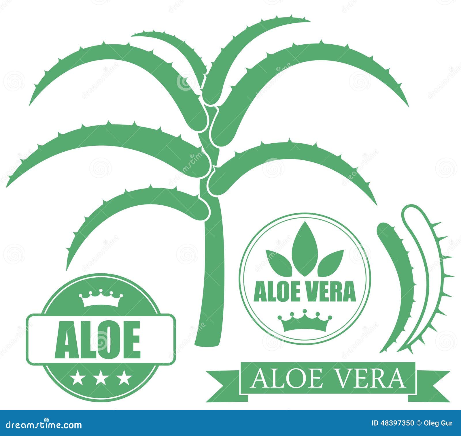 Aloe stock vector. Illustration of green, design, herbal - 48397350