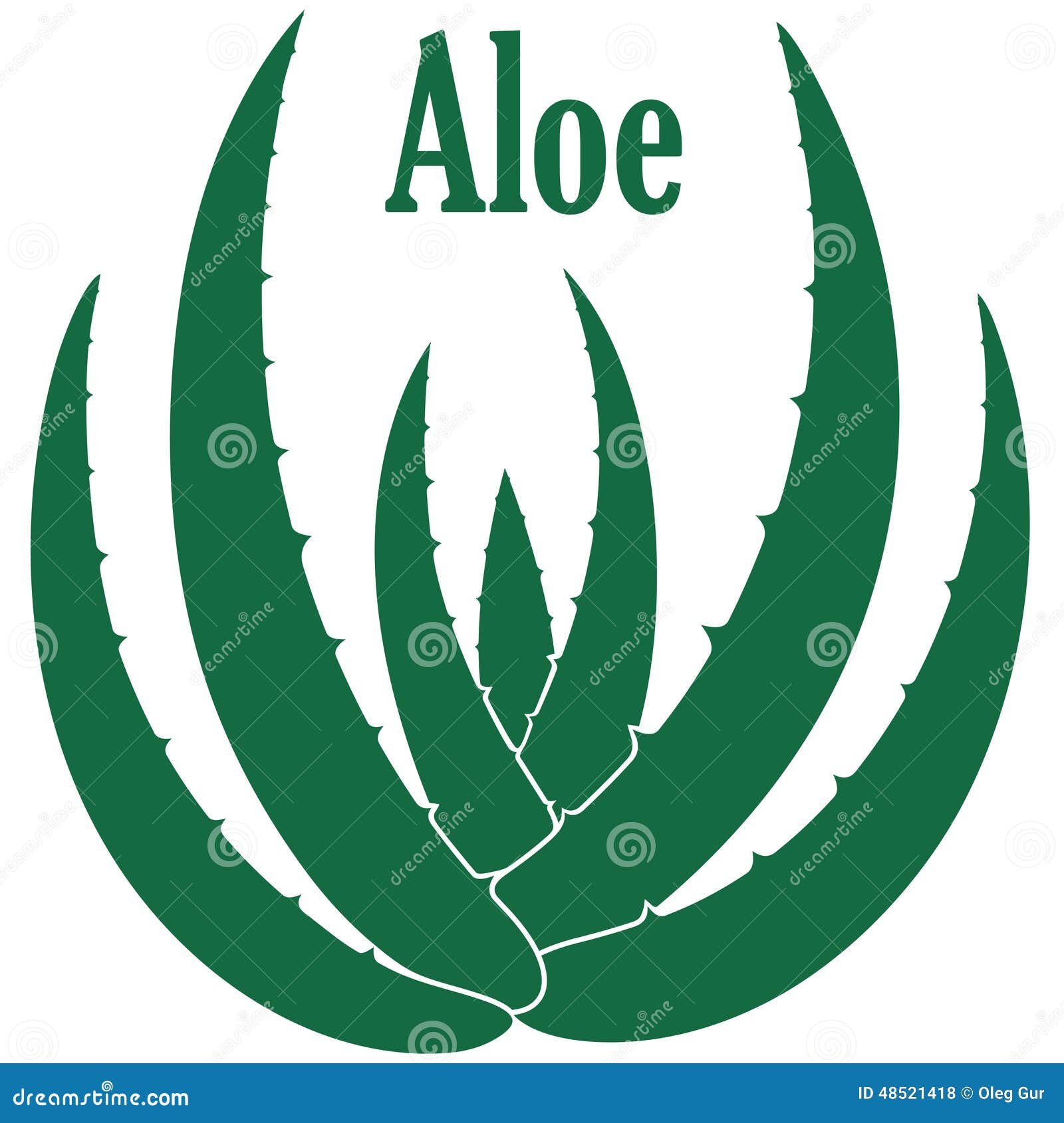 Aloe stock vector. Illustration of medicine, plant, succulent - 48521418