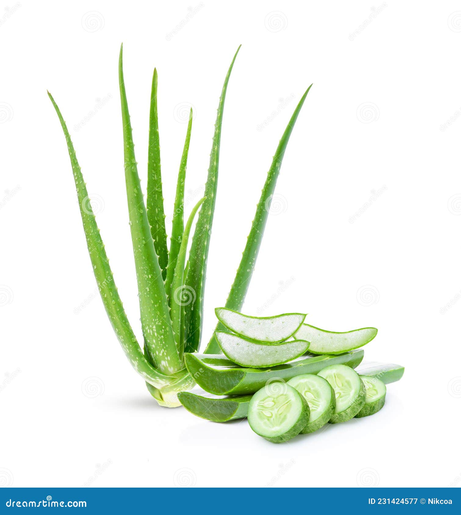 Aloe Vera and Cucumber Slice. Herbal Medical Plant Concept. Stock Image ...