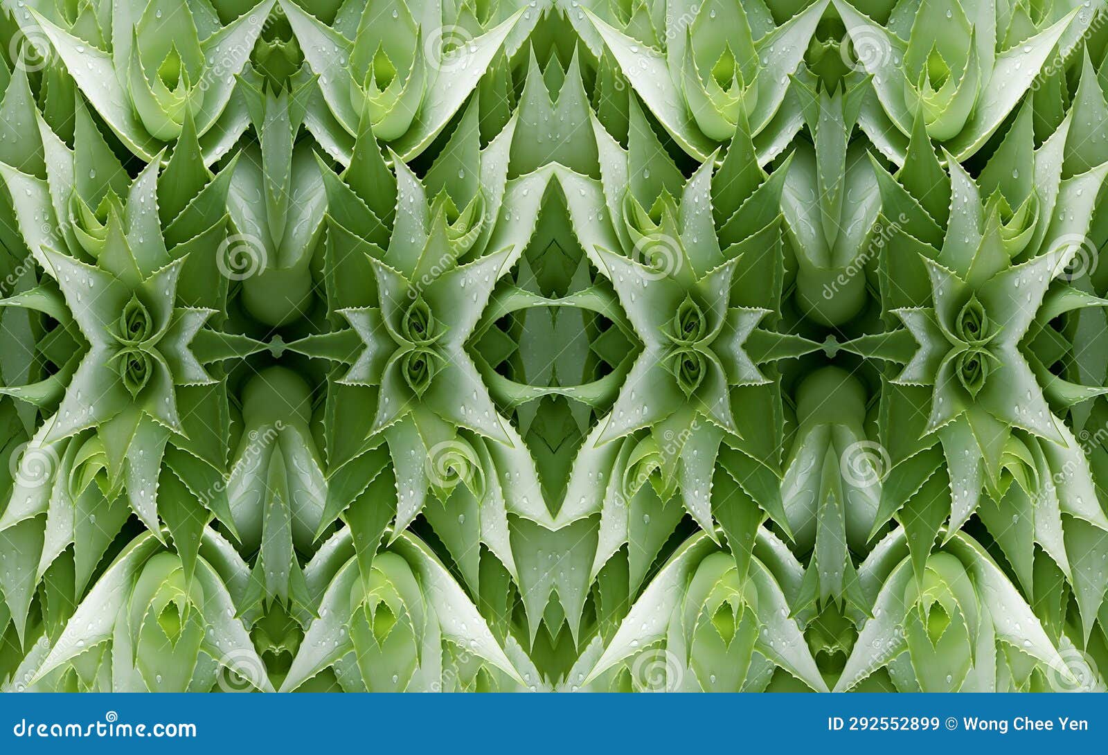Abstract Greenery Background, Green Leaves With Kaleidoscope Effect ...
