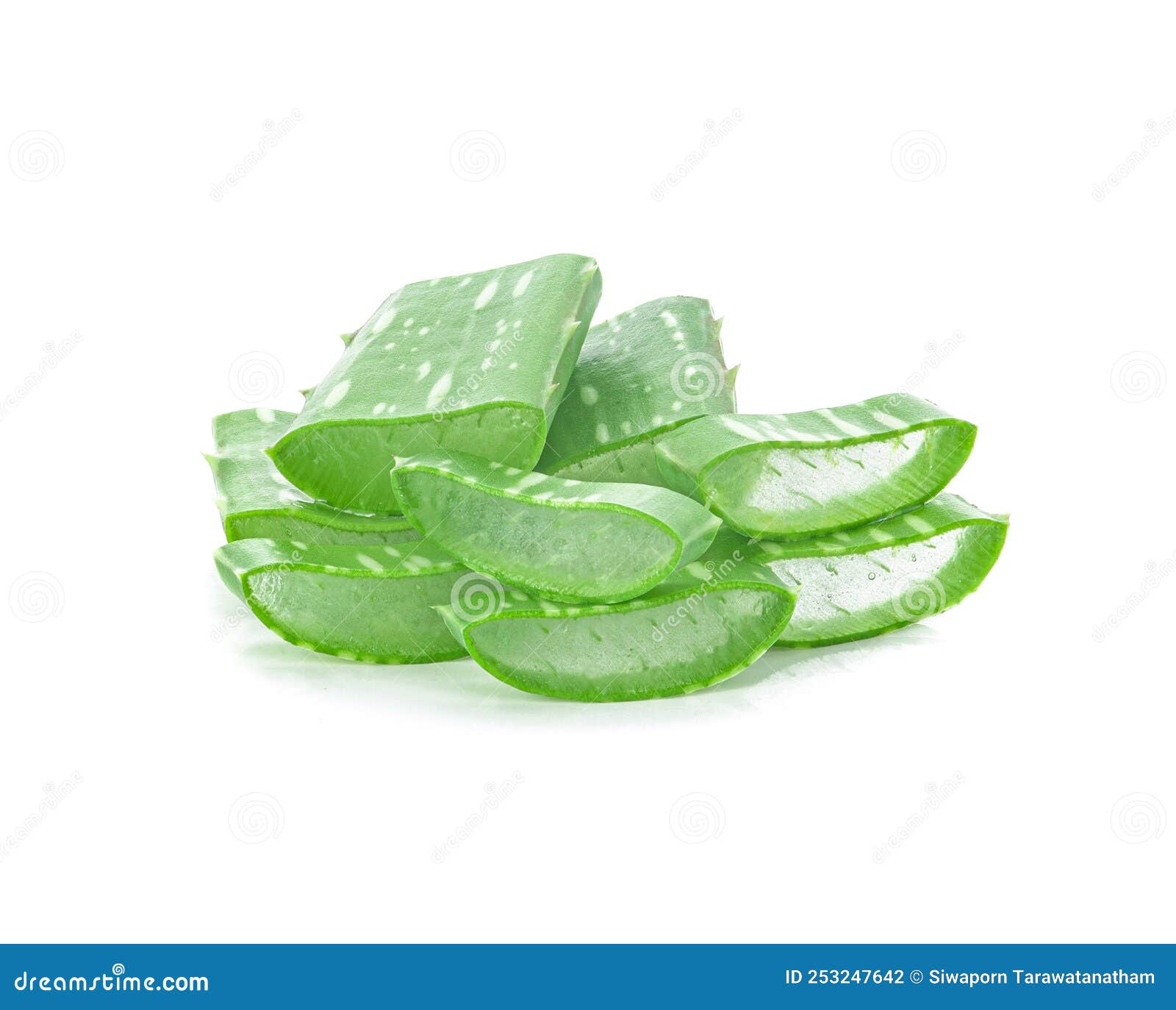 Aloe Vera Aislado En Fondo Blanco Foto de archivo - Imagen de balneario ...