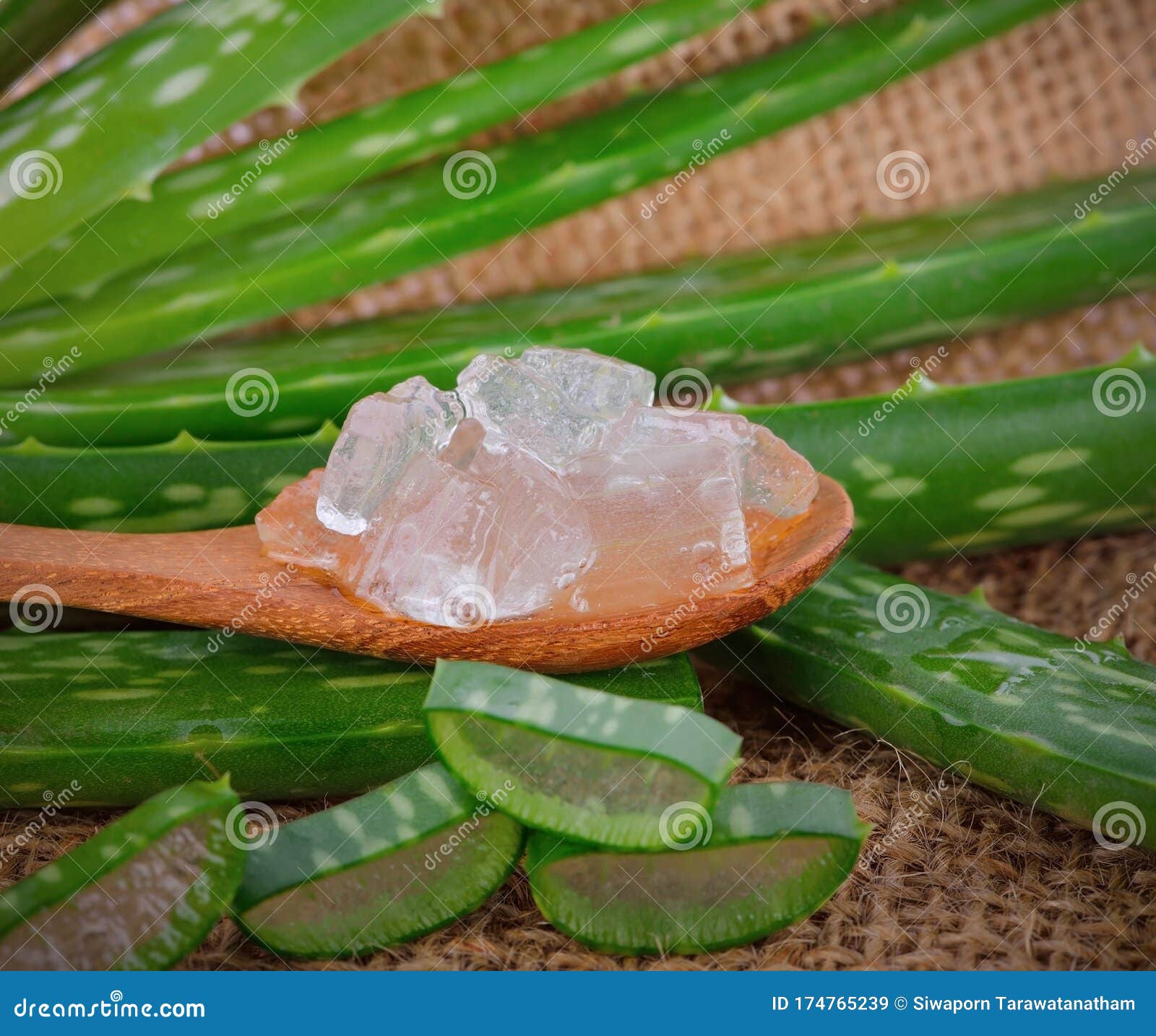 Aloe vera on a background stock image. Image of homeopathy - 174765239