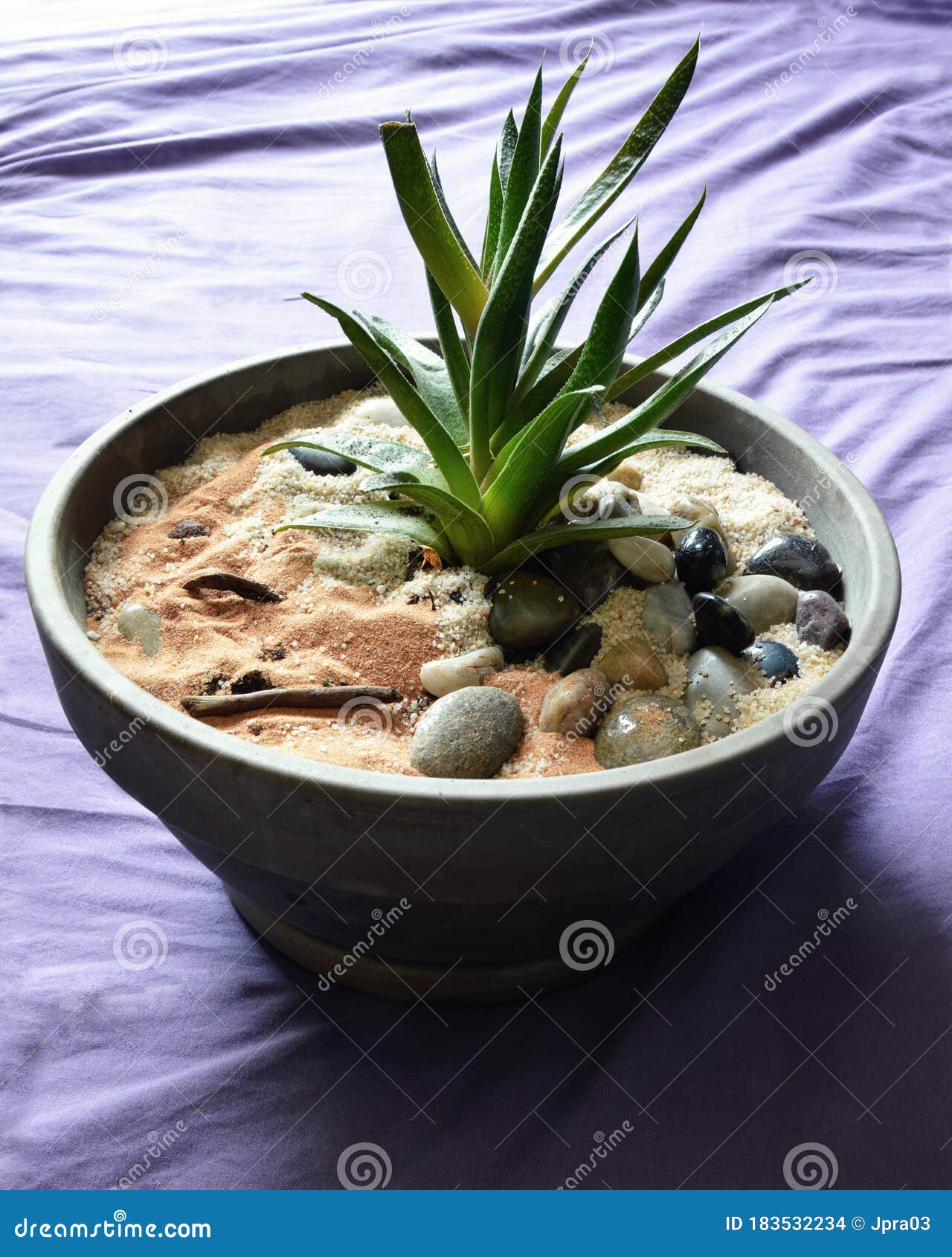 Aloe Vera in an Earthen Flower Pot Stock Photo - Image of lotion ...