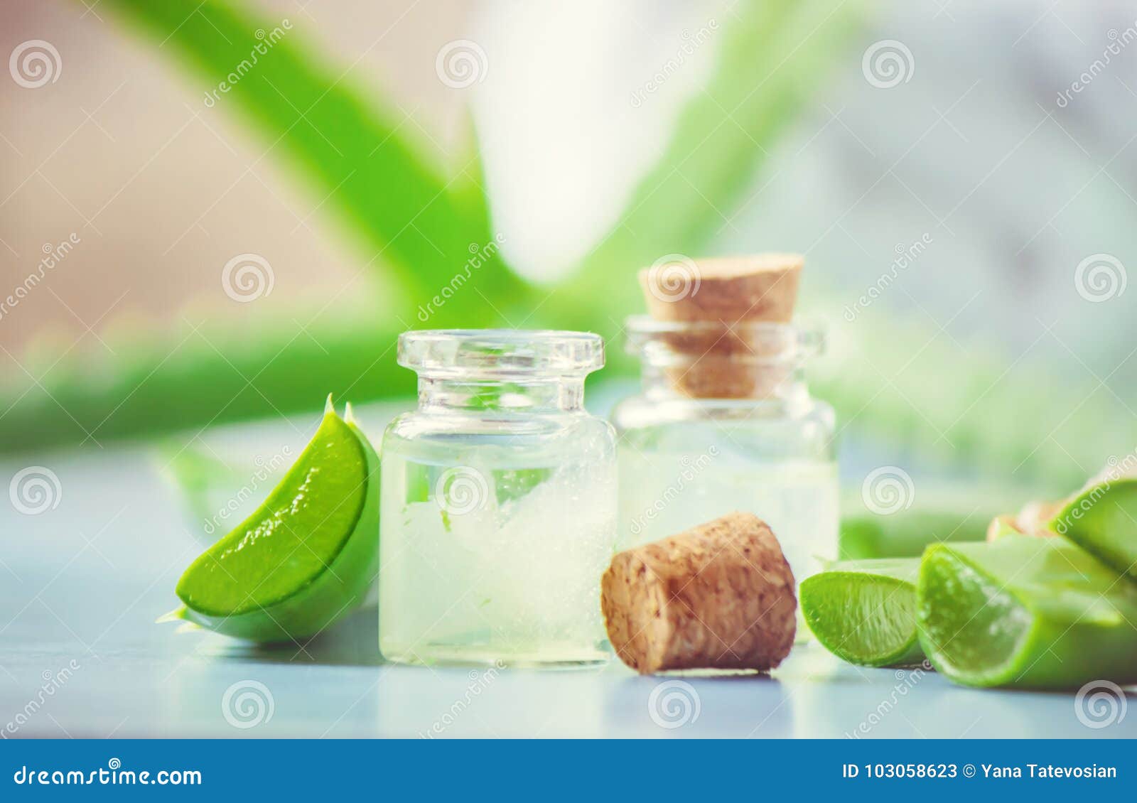 Aloe Vera Extract in a Small Bottle and Pieces on the Table. Stock ...