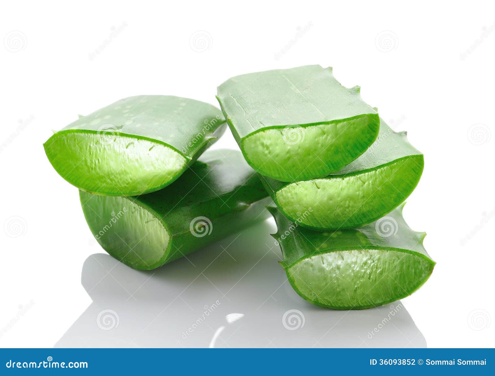 Aloe Vera Fresh Leaf Over White Stock Photo - Image of growth ...