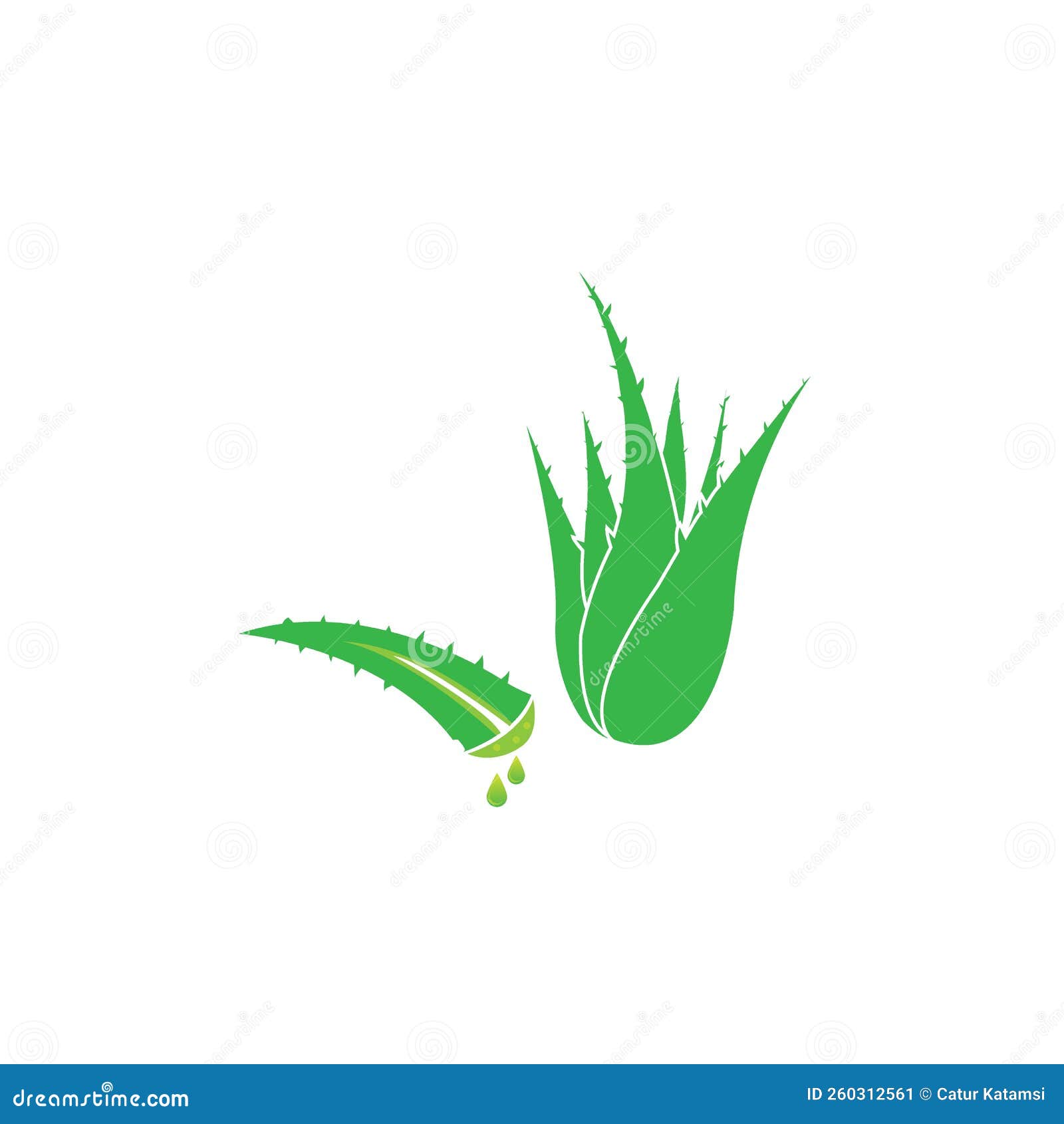 Aloe vera icon logo vector stock vector. Illustration of organic ...