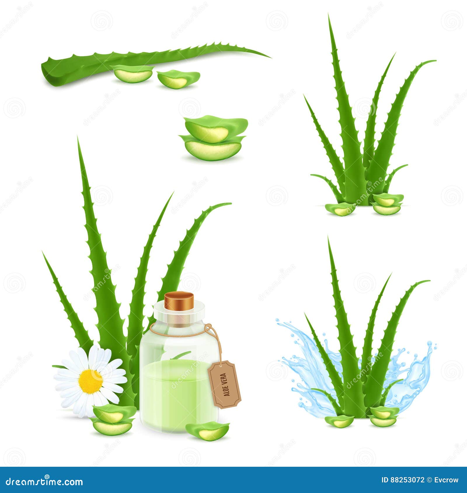 Aloe vera icons stock vector. Illustration of health - 88253072